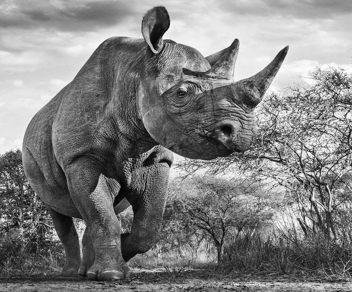 Photographer who goes eye-to-eye with nature to visit Greenwich