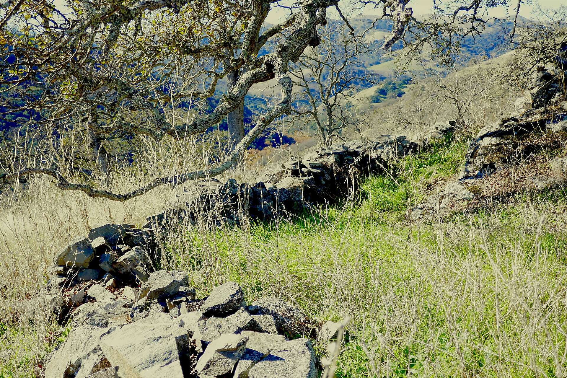 Deciphering the mystery walls of East Bay hills