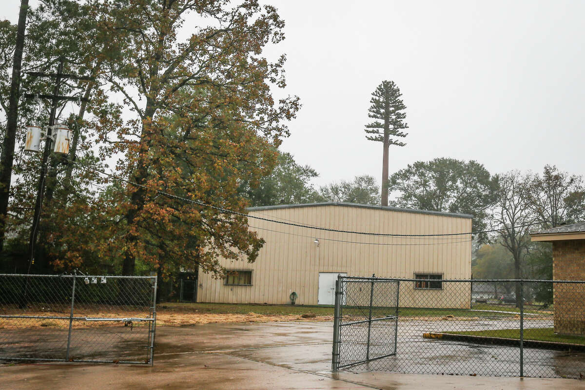 'Monopine' design hides unsightly cell tower in Conroe