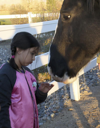 Corralling children's grief