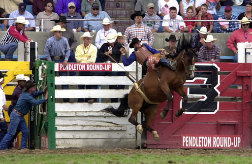 Pendleton Round-Up named best large outdoor rodeo