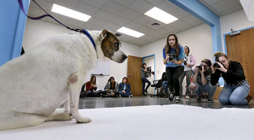 Adoptable pets test high school students' photography skills