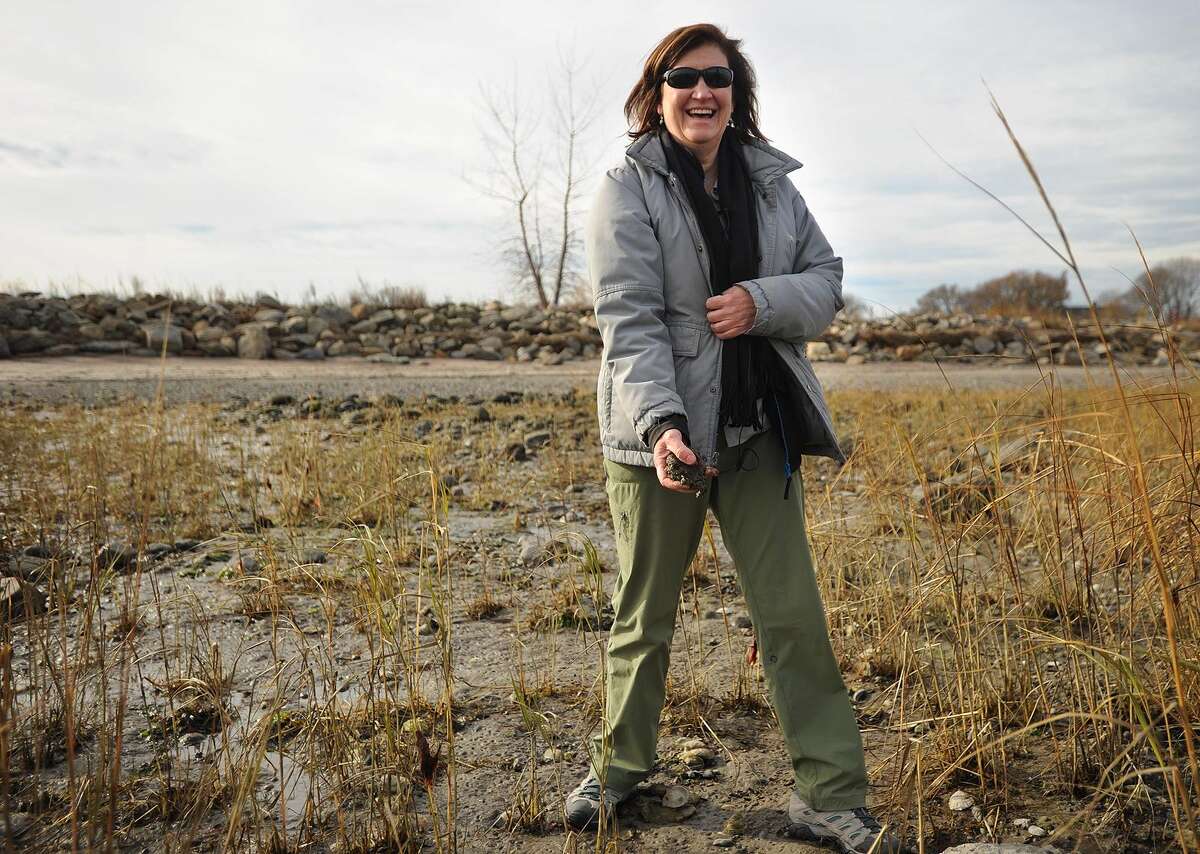 Creating a ‘living shoreline’ with Reef Balls