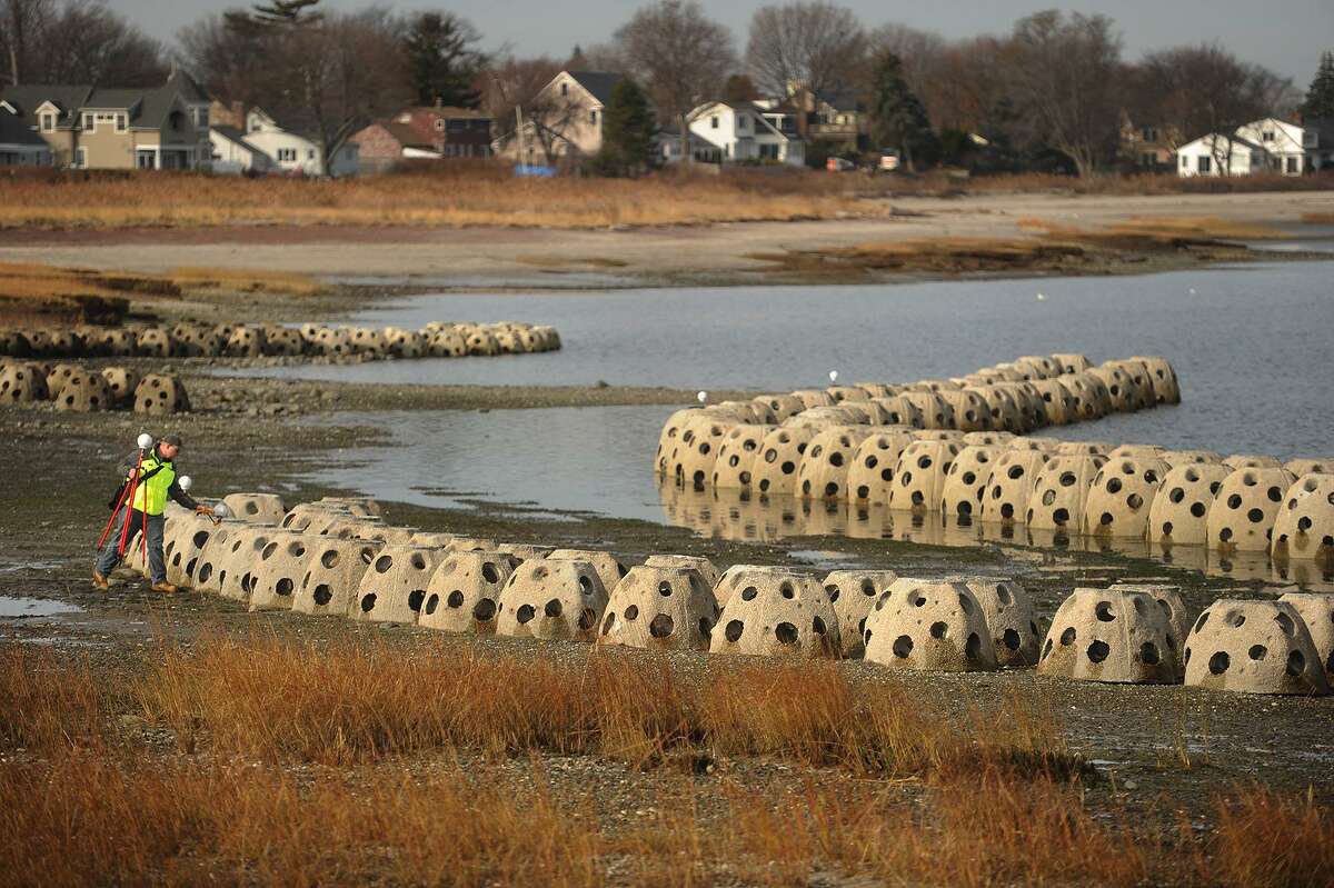 Creating a ‘living shoreline’ with Reef Balls