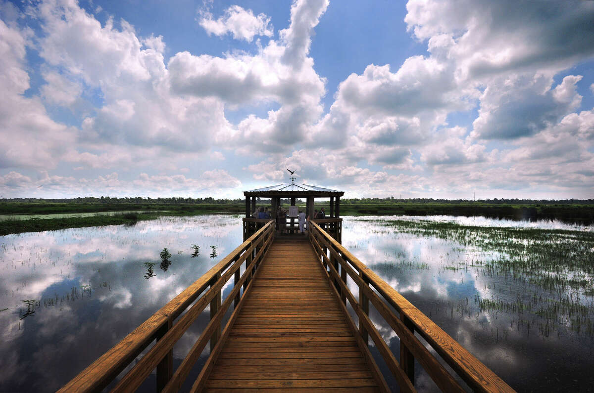 Cattail Marsh: The Gift in Our Backyard