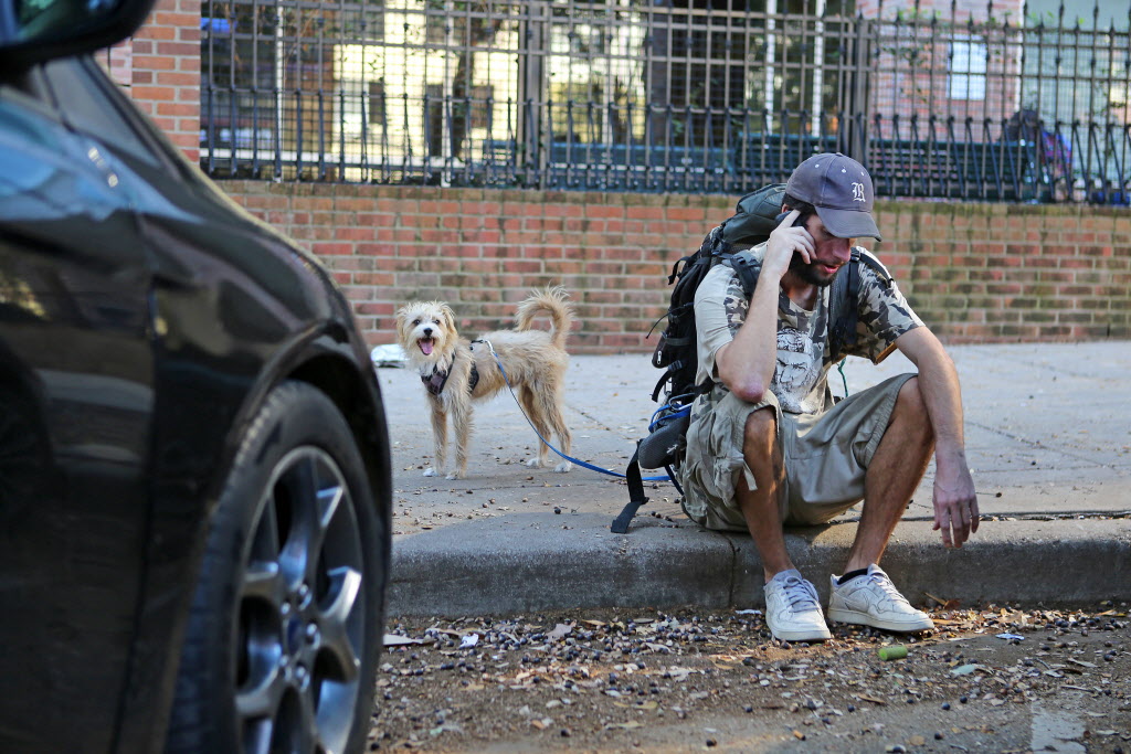 'I'm not leaving town without my dog'