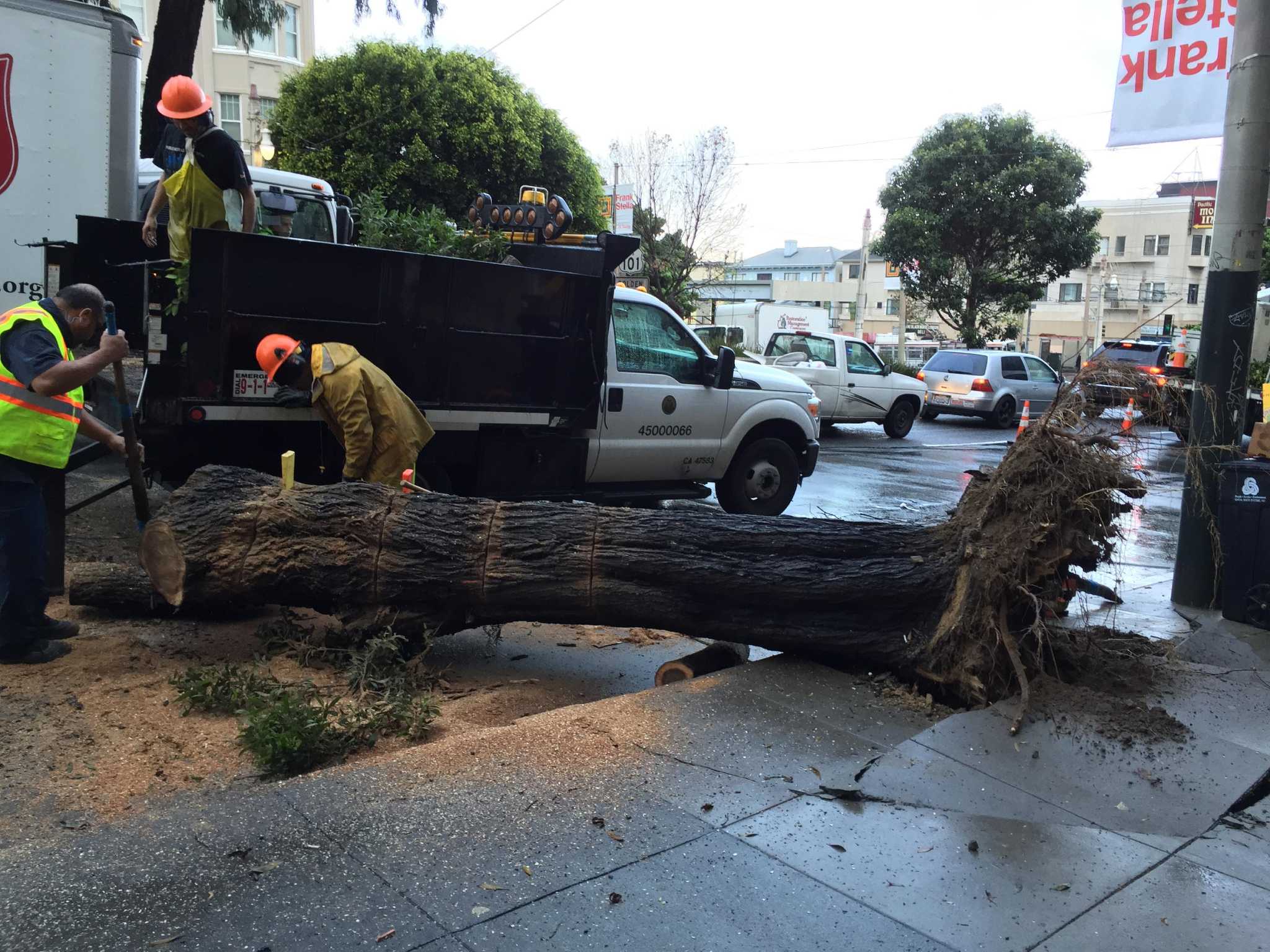 Drizzly weather in SF to keep umbrellas open most of Friday
