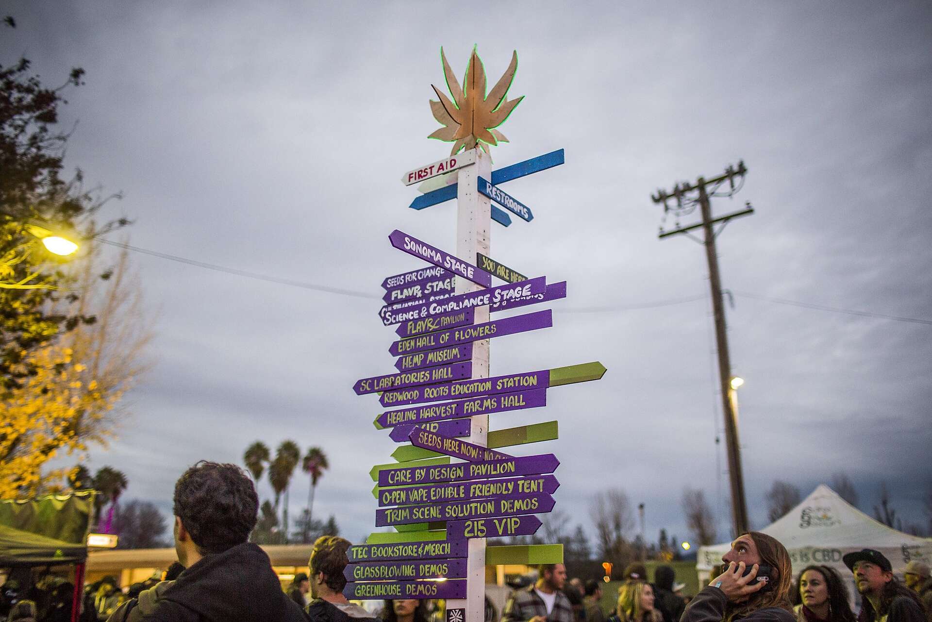 Marijuana Today: AG Sessions leaning toward cannabis status quo