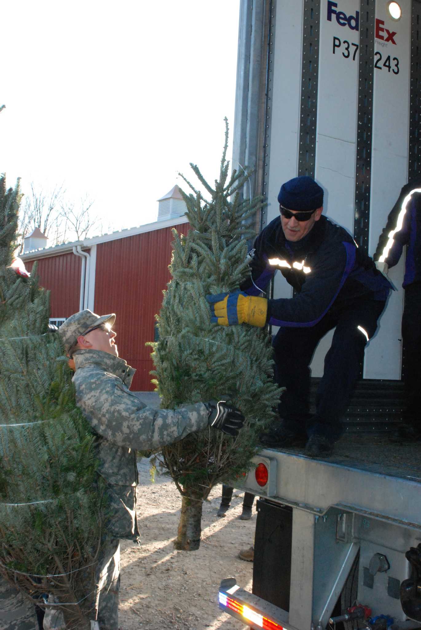 Duty Calls: Christmas trees en route to military bases