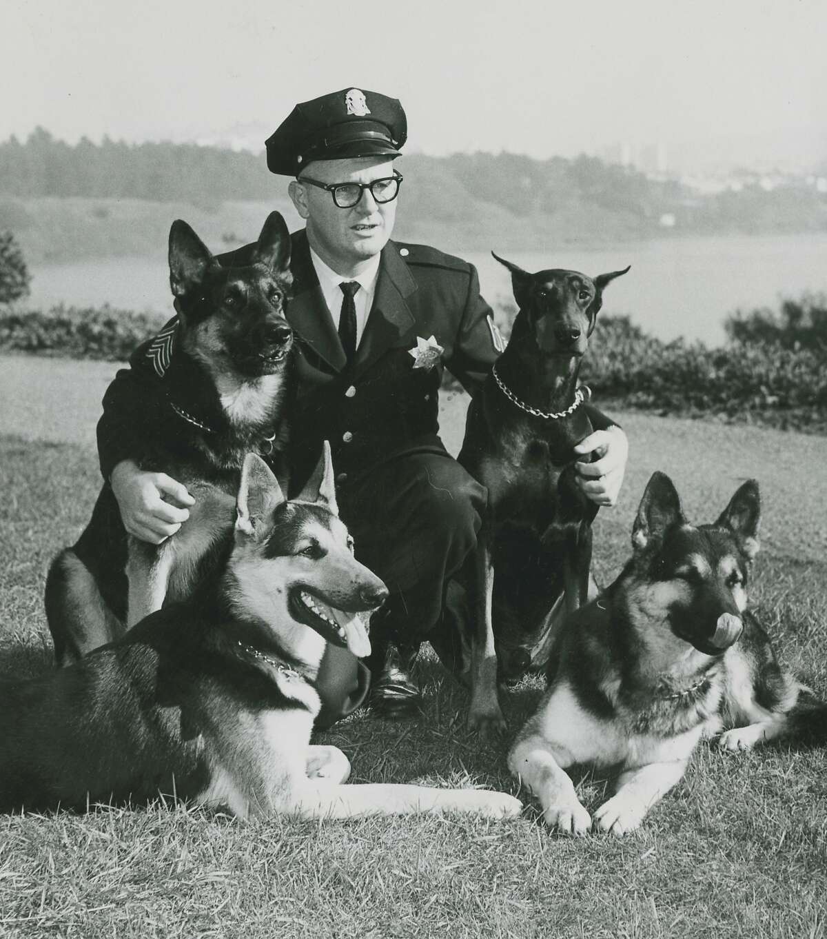 SFPD’s first K-9 corps protected, served and sacrificed