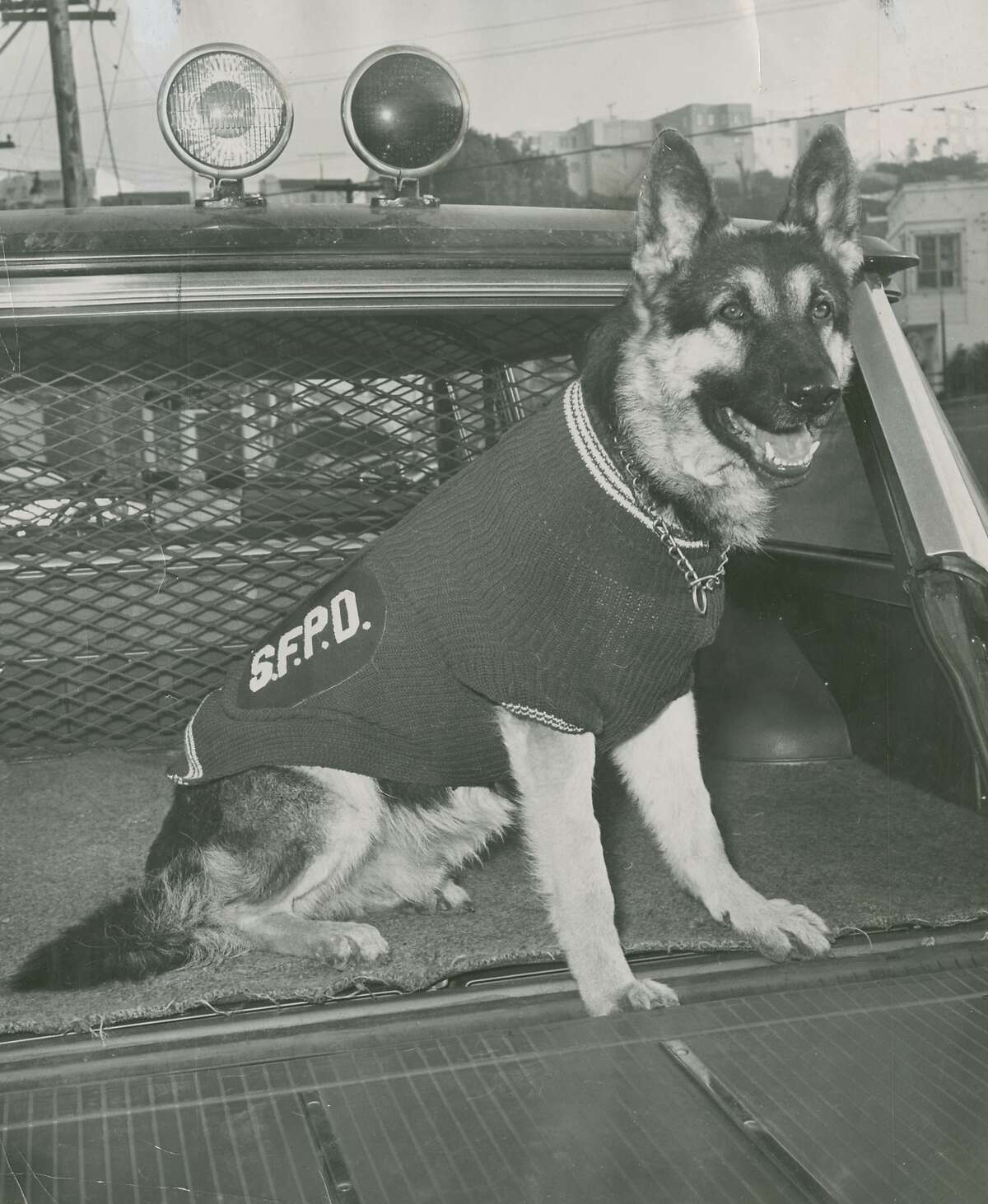 SFPD’s first K-9 corps protected, served and sacrificed