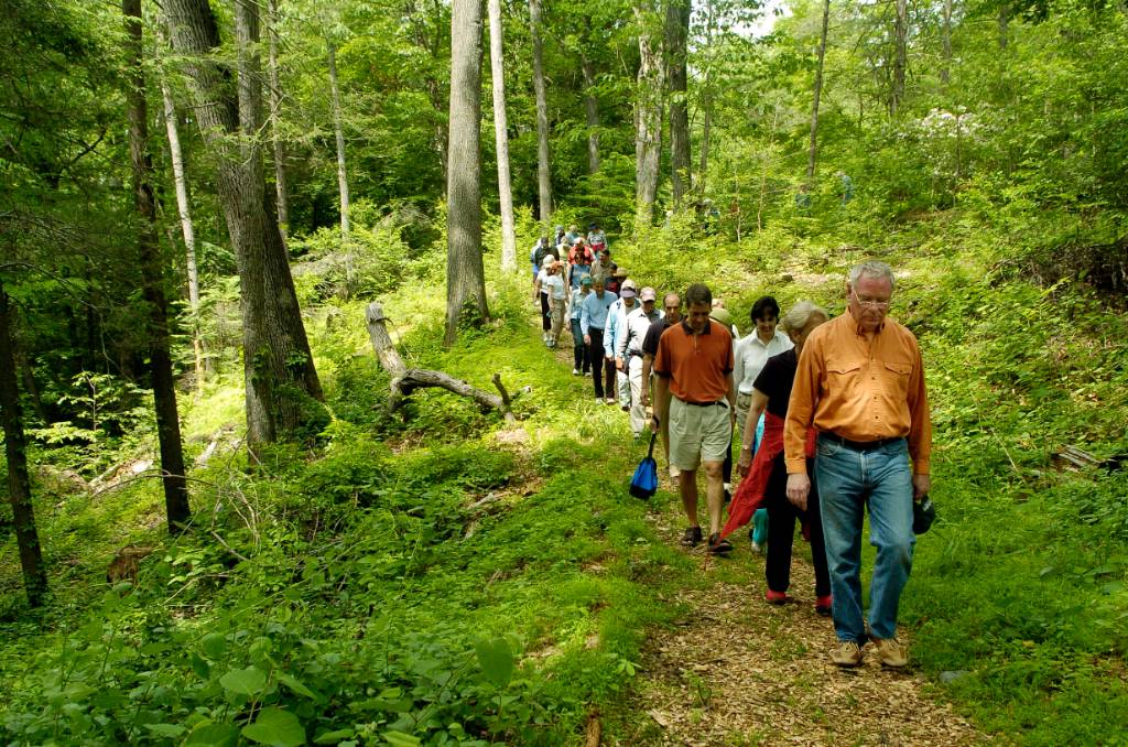 Residents explore wilds of Pinetum