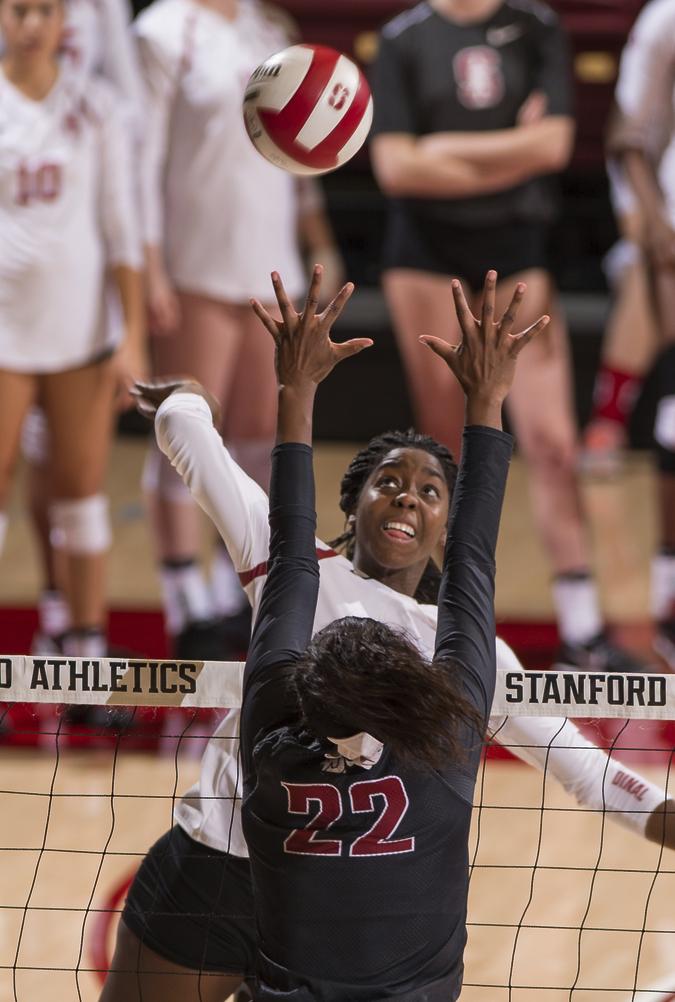 Despite 7 losses, Stanford reaches volleyball’s Final Four