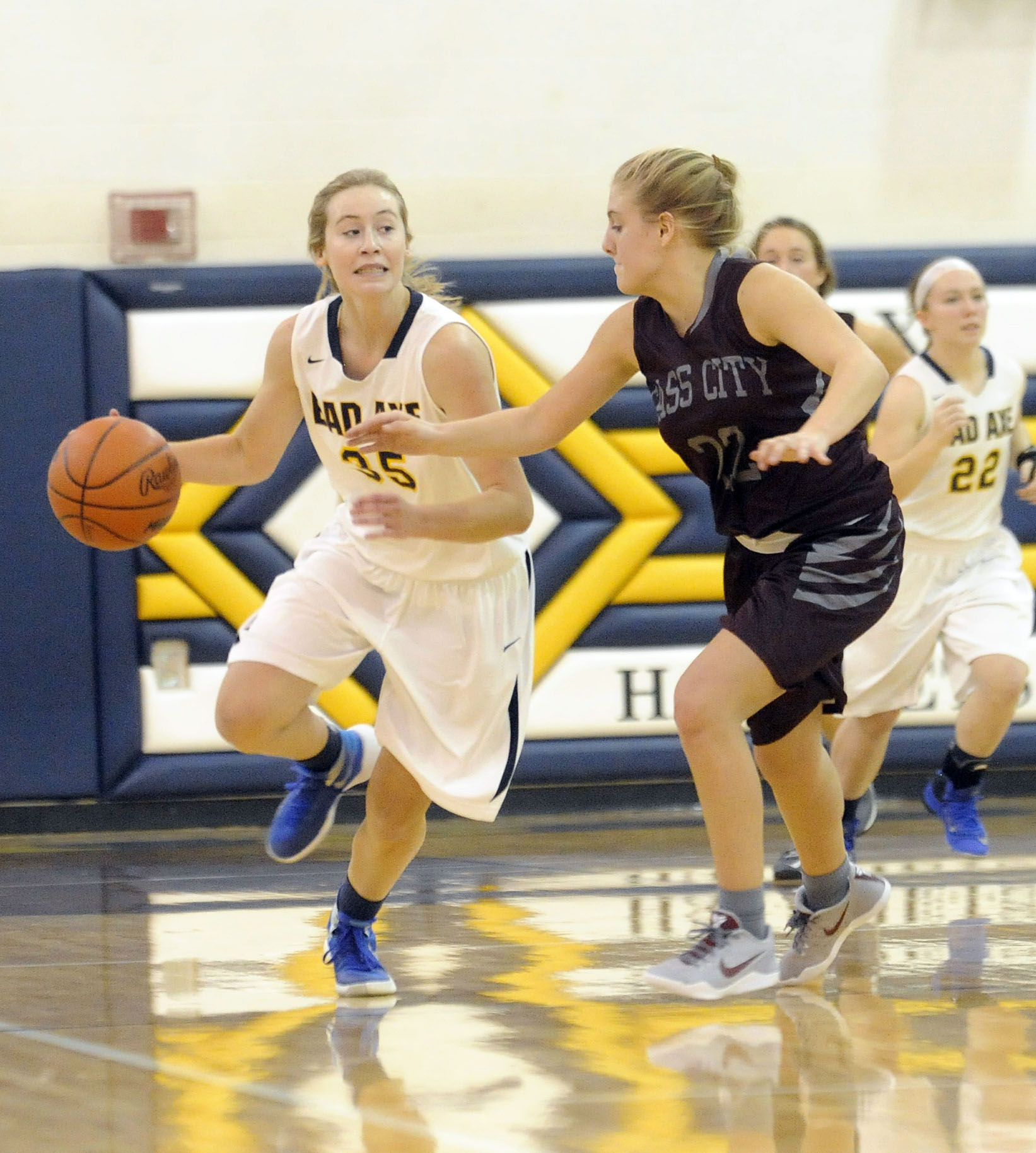 Cass City at Bad Axe — Girls Basketball 2016