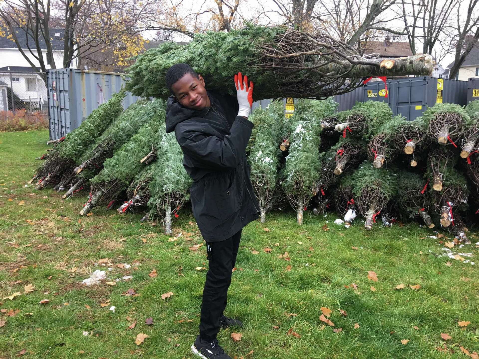 Christmas tree farmers aim to boost sales via social media