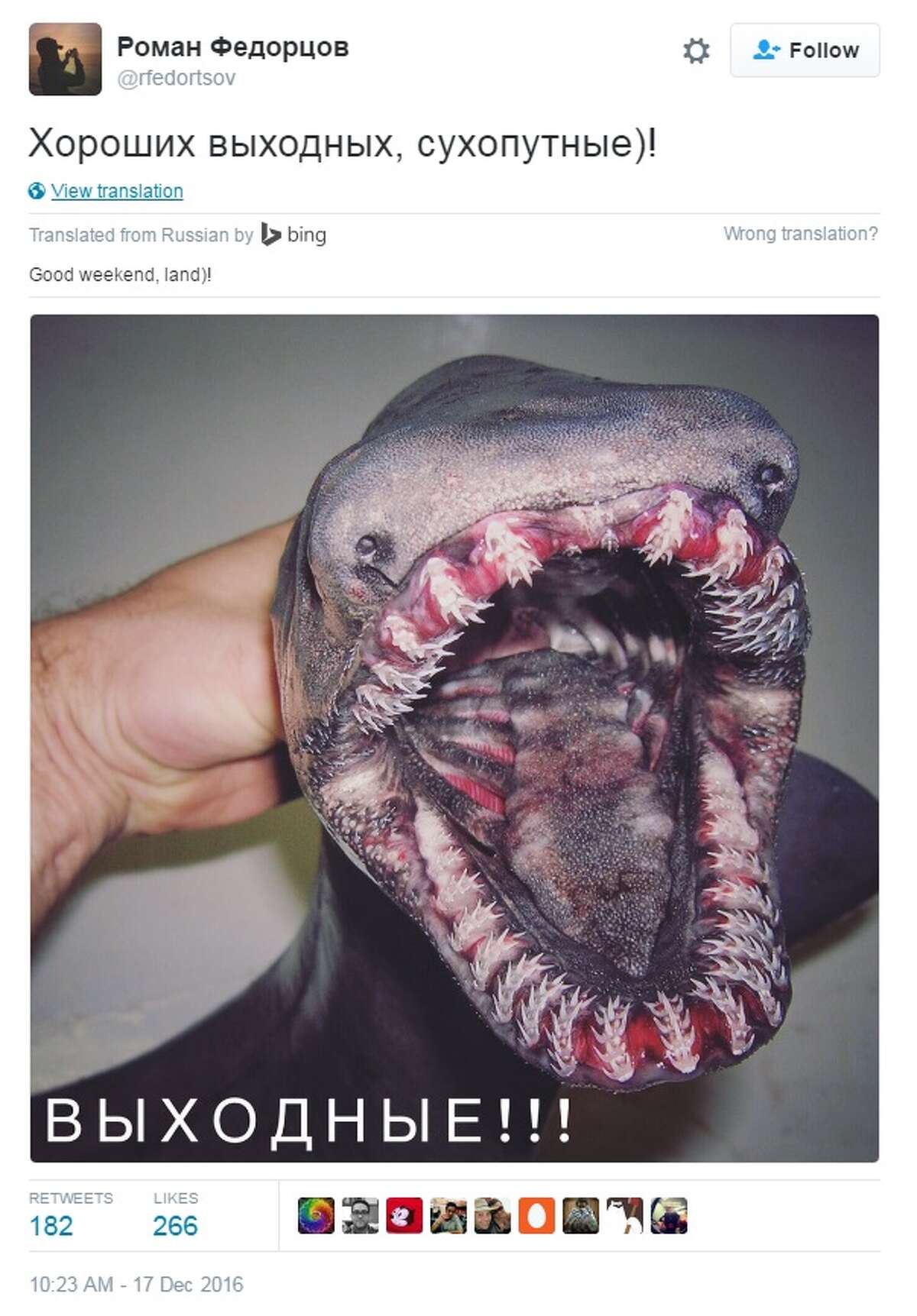Crazy Russian fish