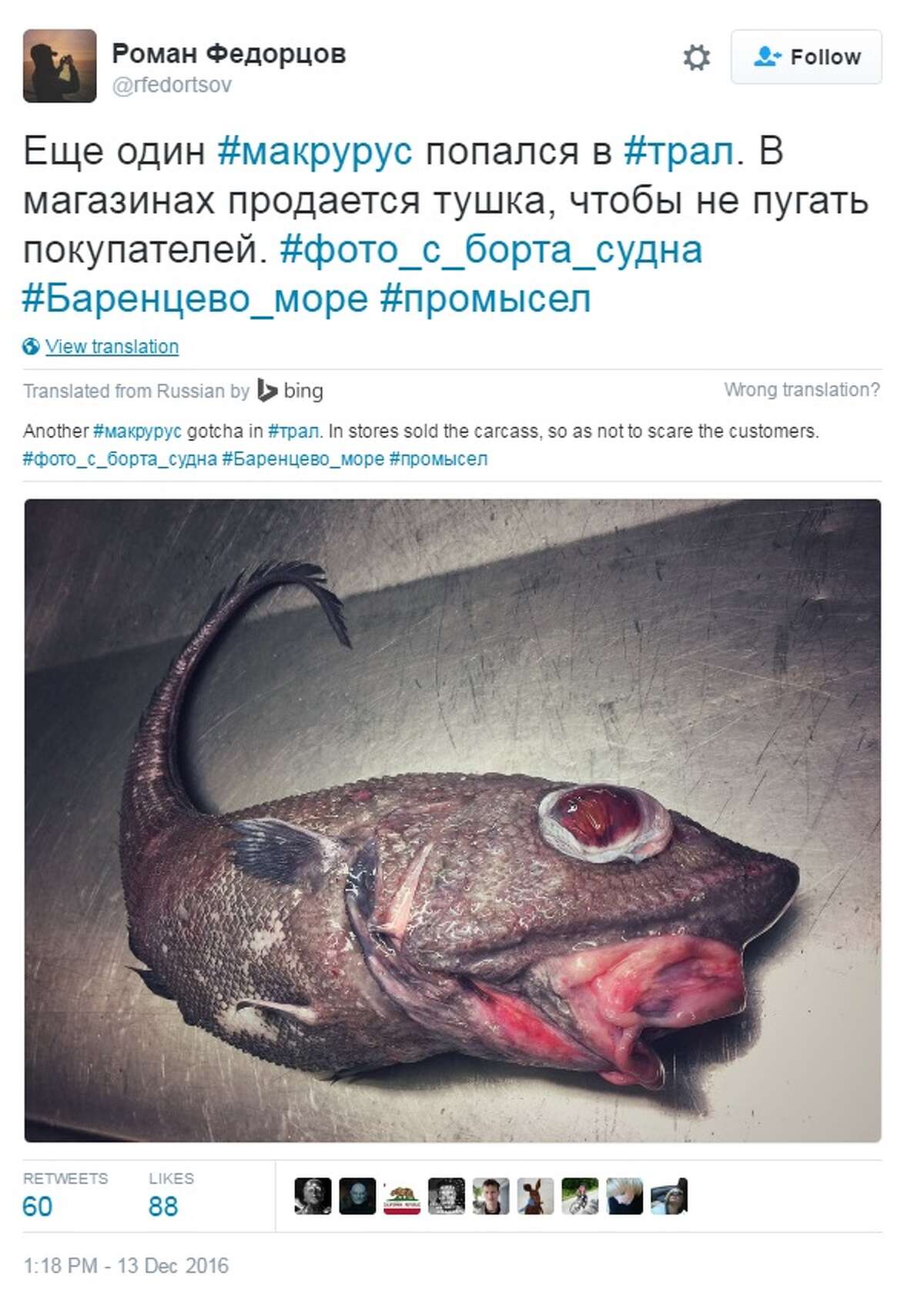 These Russian fish look like something straight out of science fiction