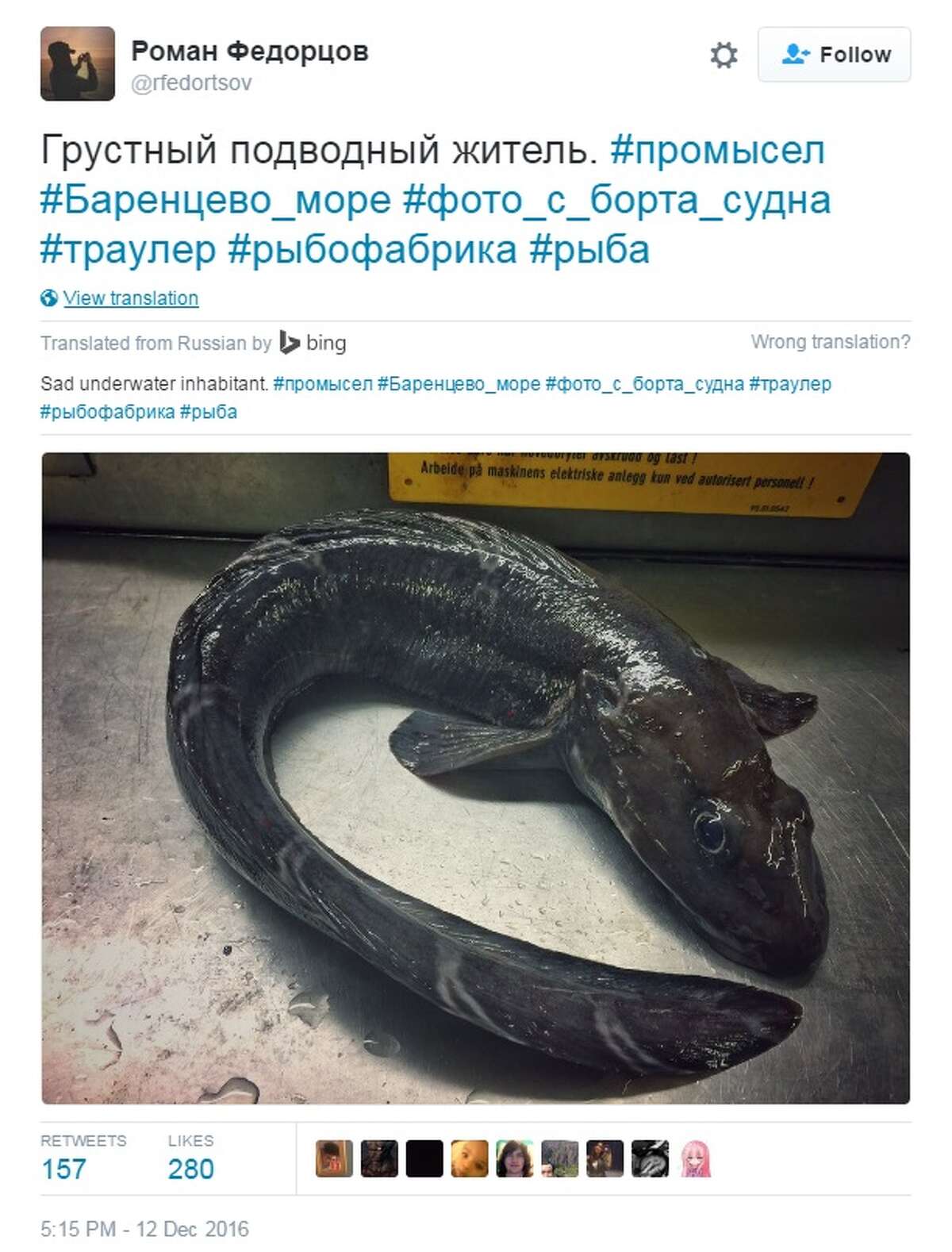 These Russian fish look like something straight out of science fiction