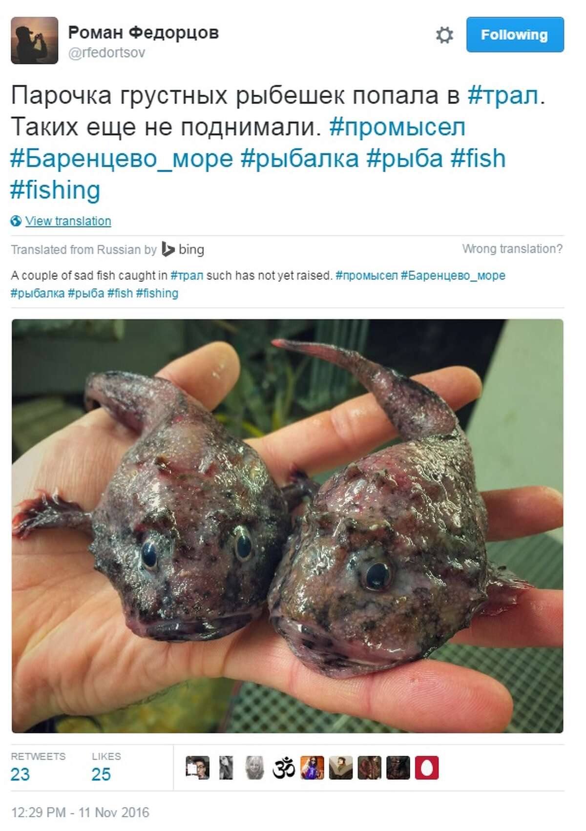 These Russian fish look like something straight out of science fiction