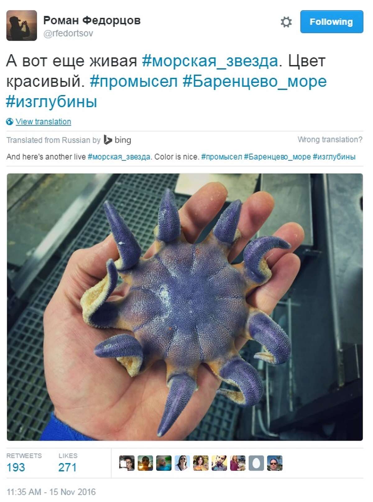 These Russian fish look like something straight out of science fiction