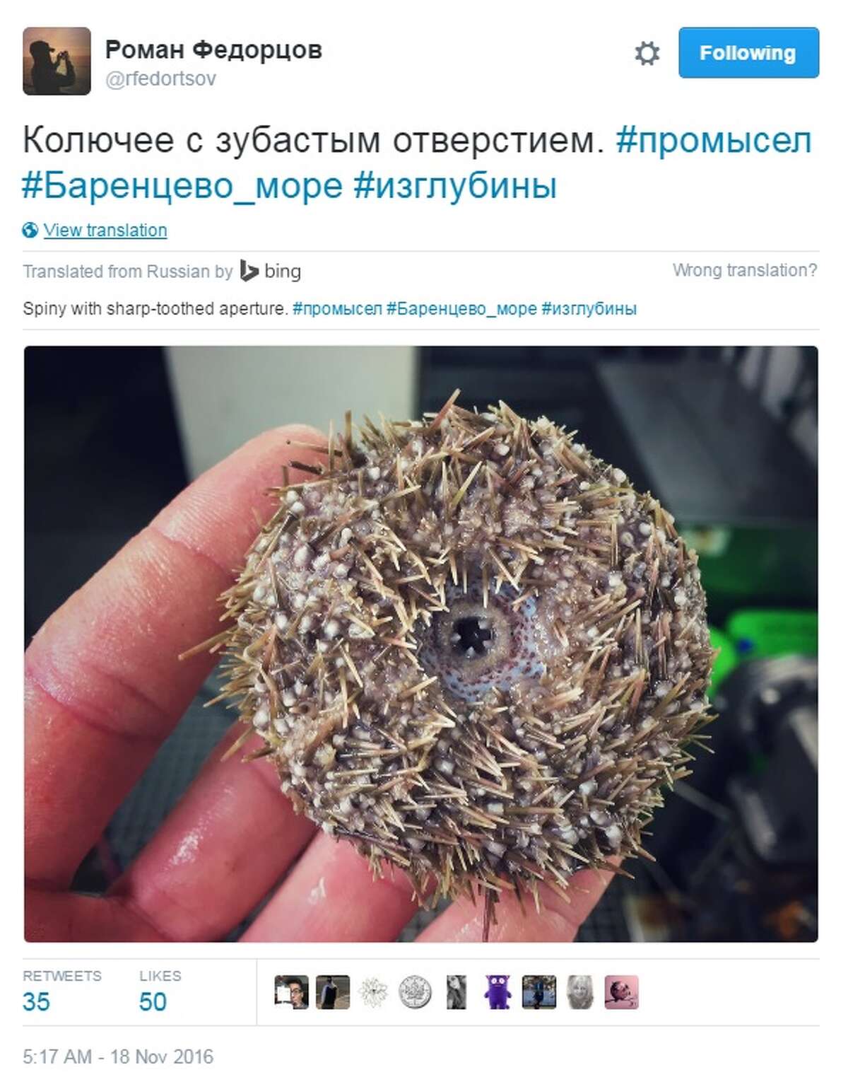 These Russian fish look like something straight out of science fiction