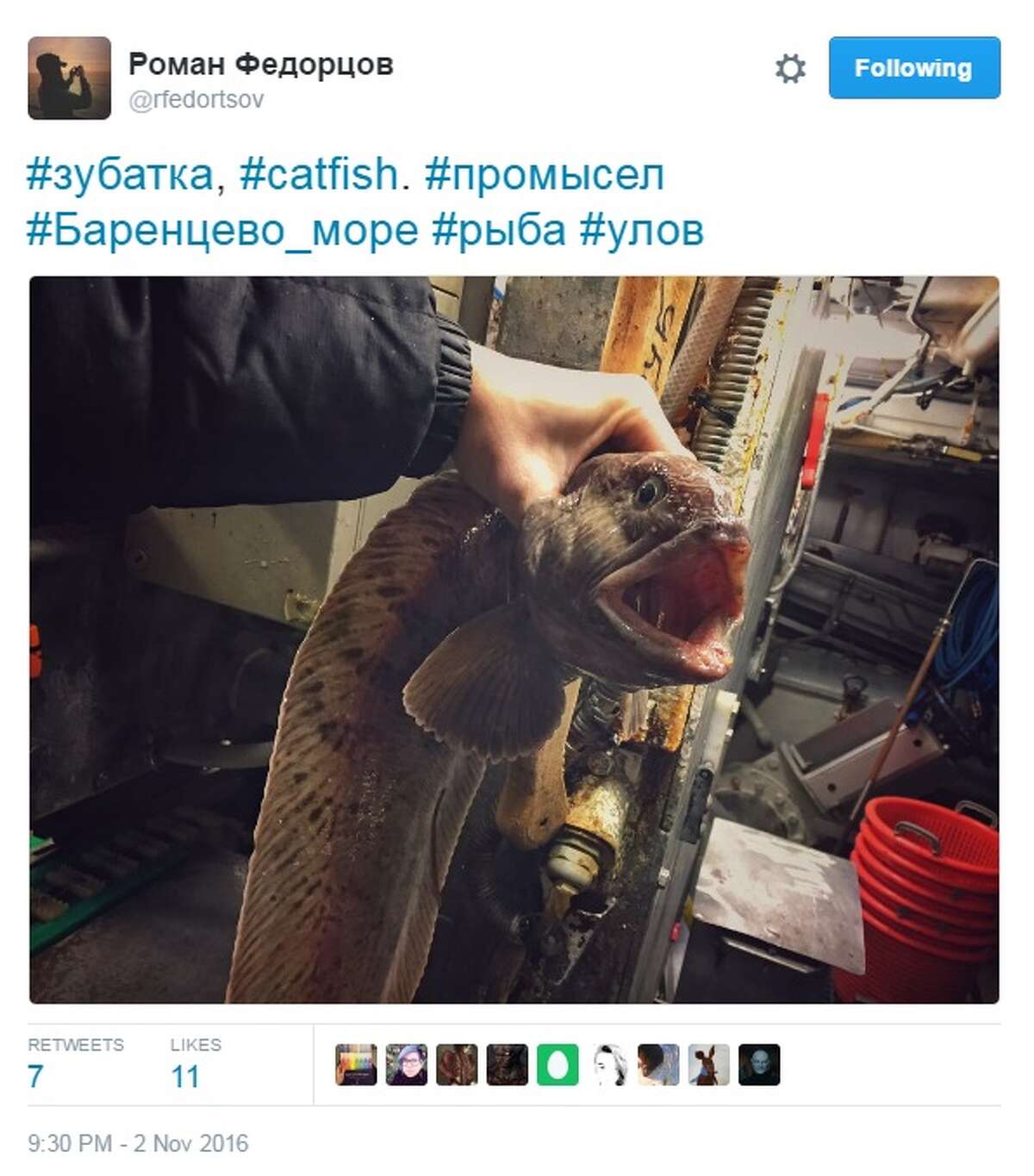 These Russian fish look like something straight out of science fiction