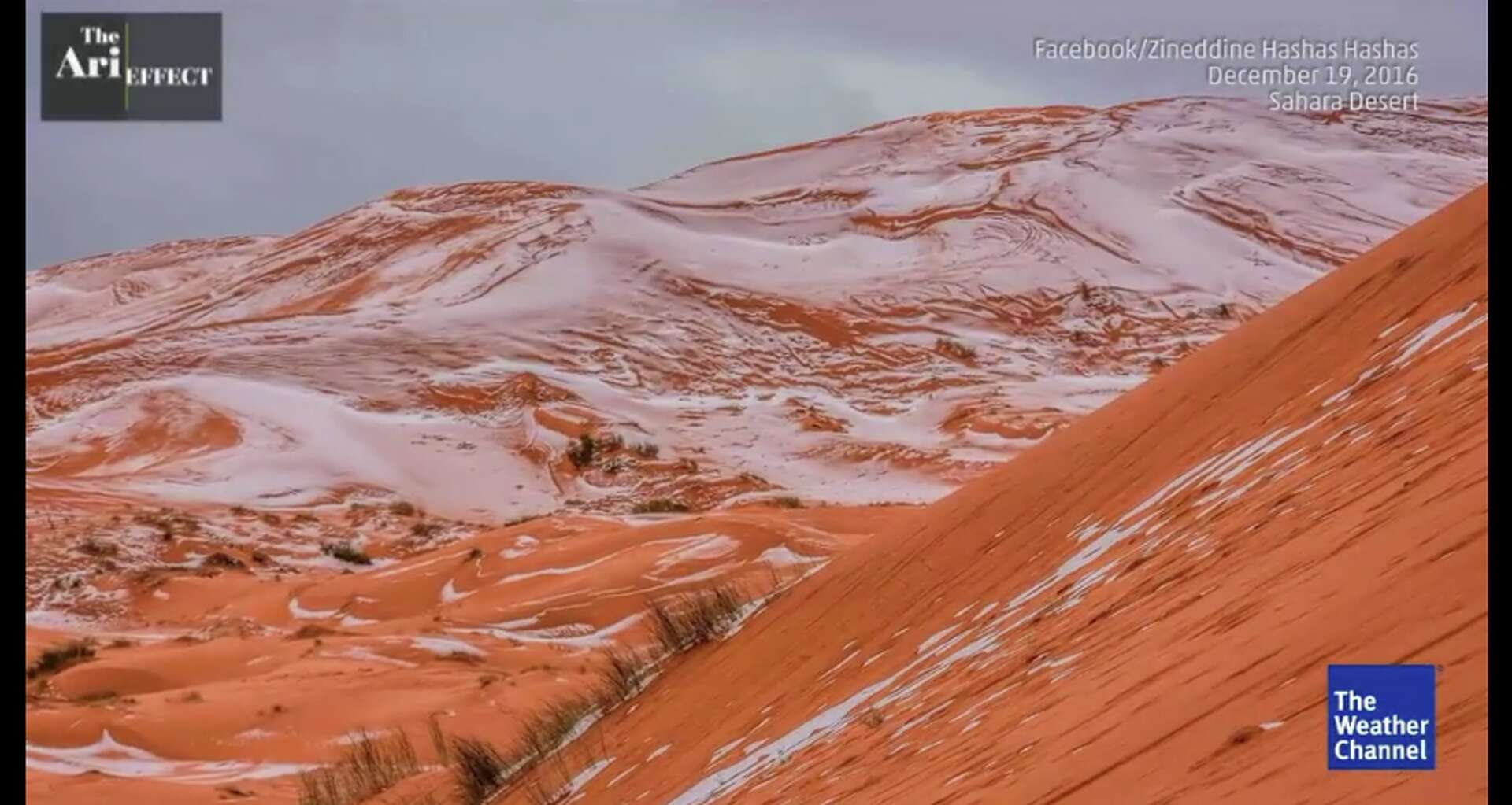 It snowed in the Sahara for the first time in nearly 40 years