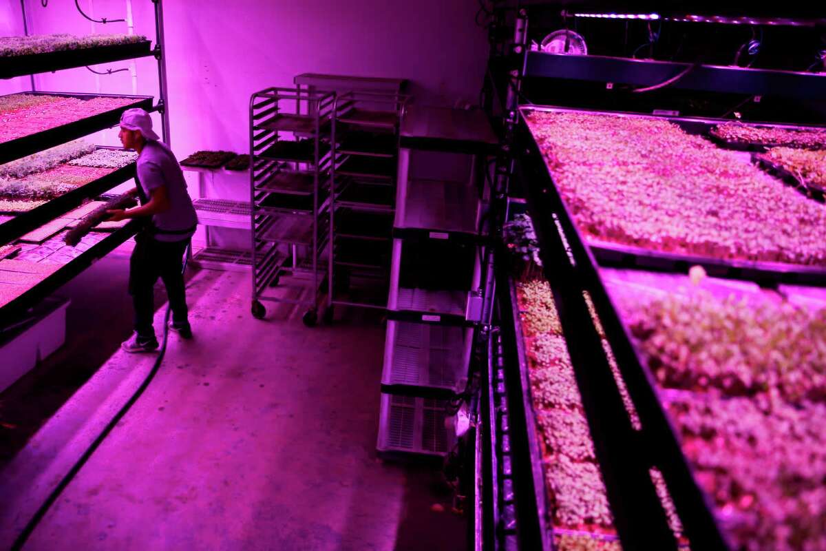 Houston's vertical farm plans to grow