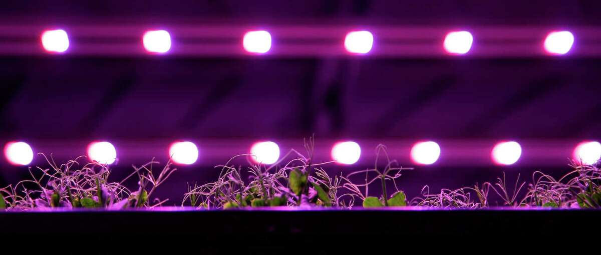 Houston's vertical farm plans to grow