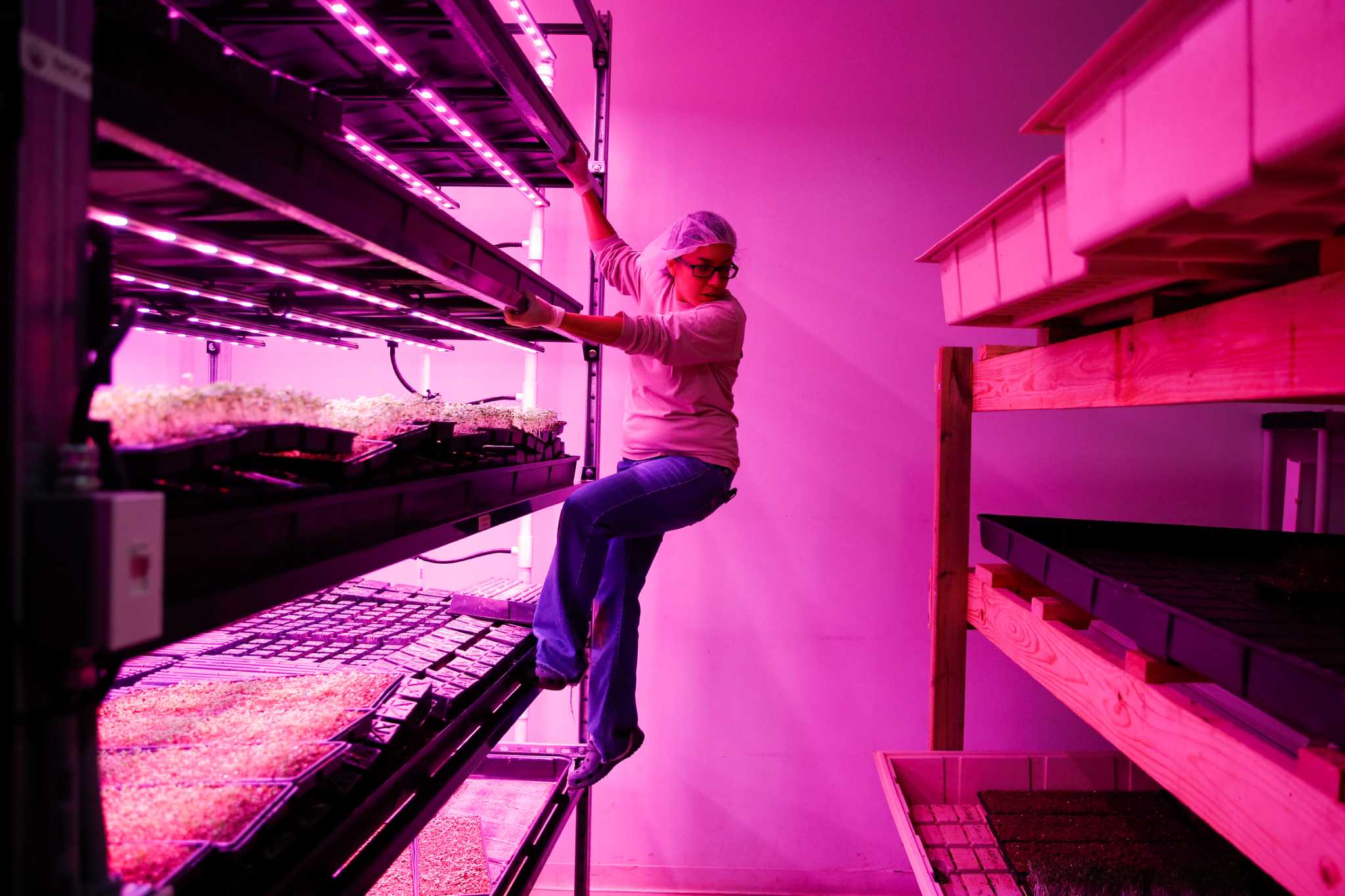 Houston's vertical farm plans to grow
