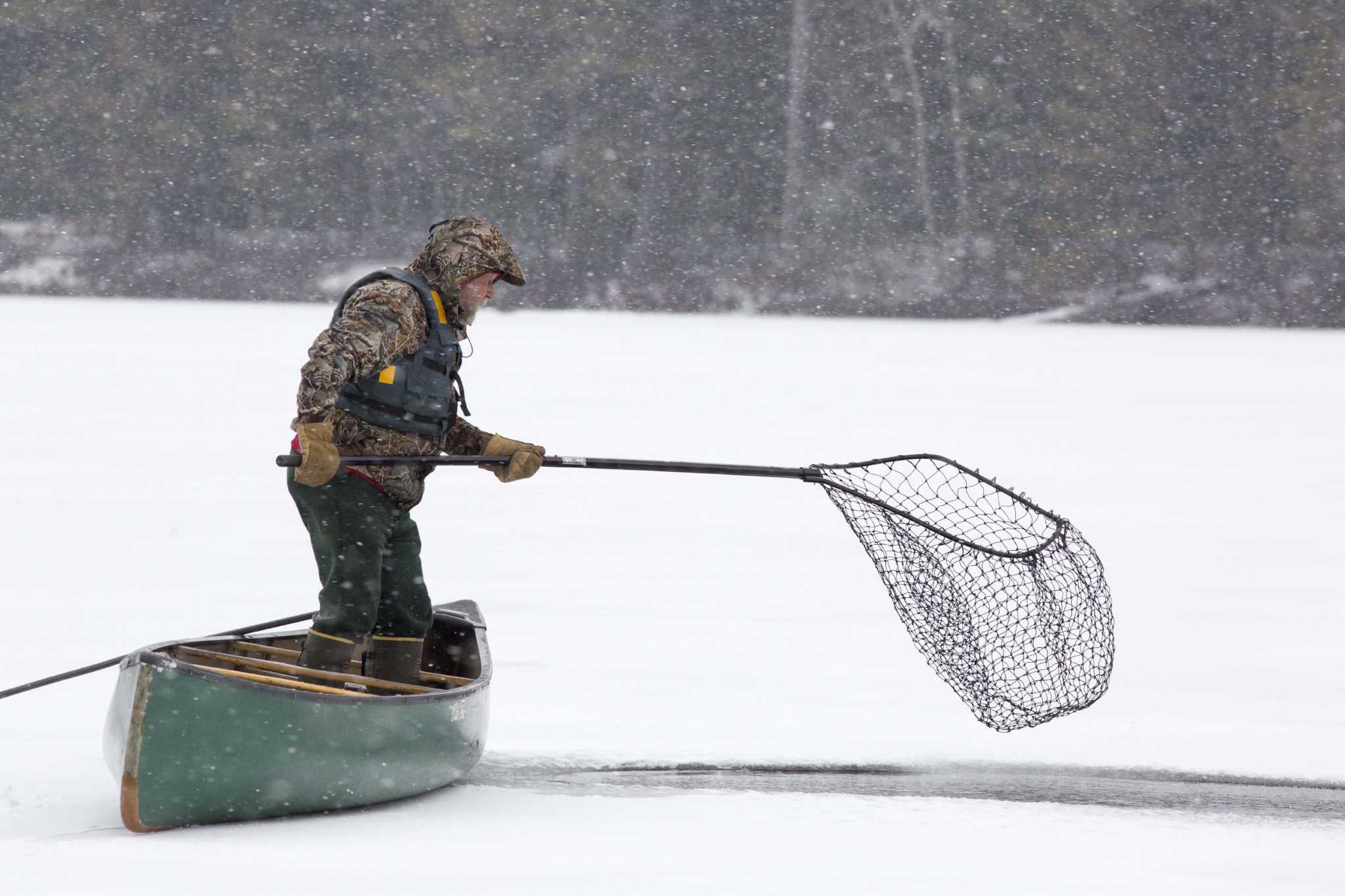 Loon gets a second chance