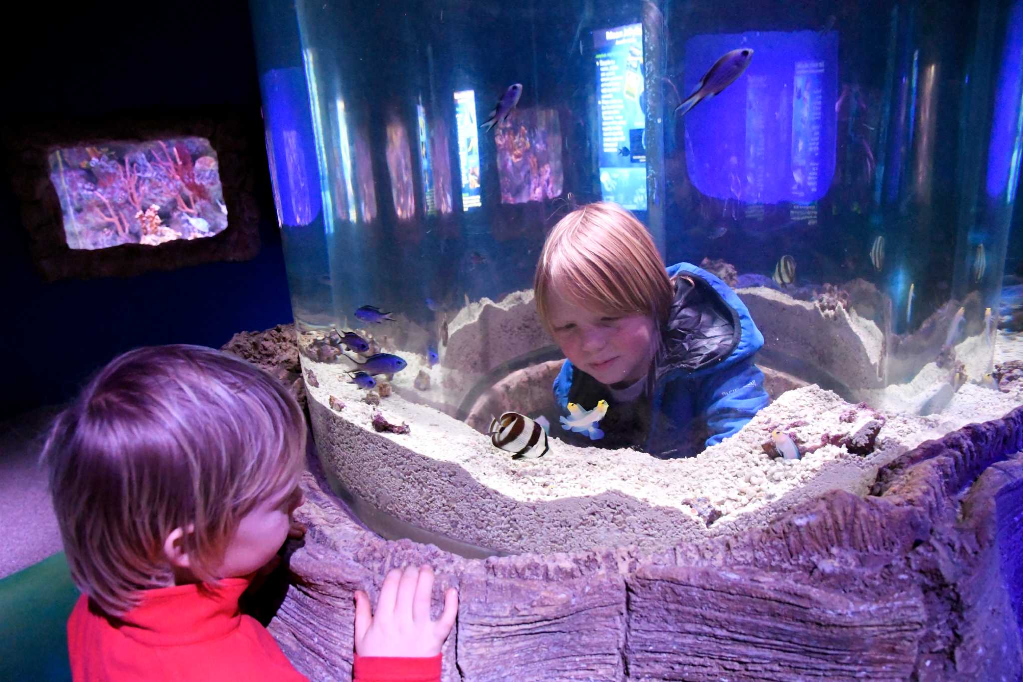 Rotterdam Aquarium Attracting Fish Fanciers Rotterdam Aquarium Attracting Fish Fanciers