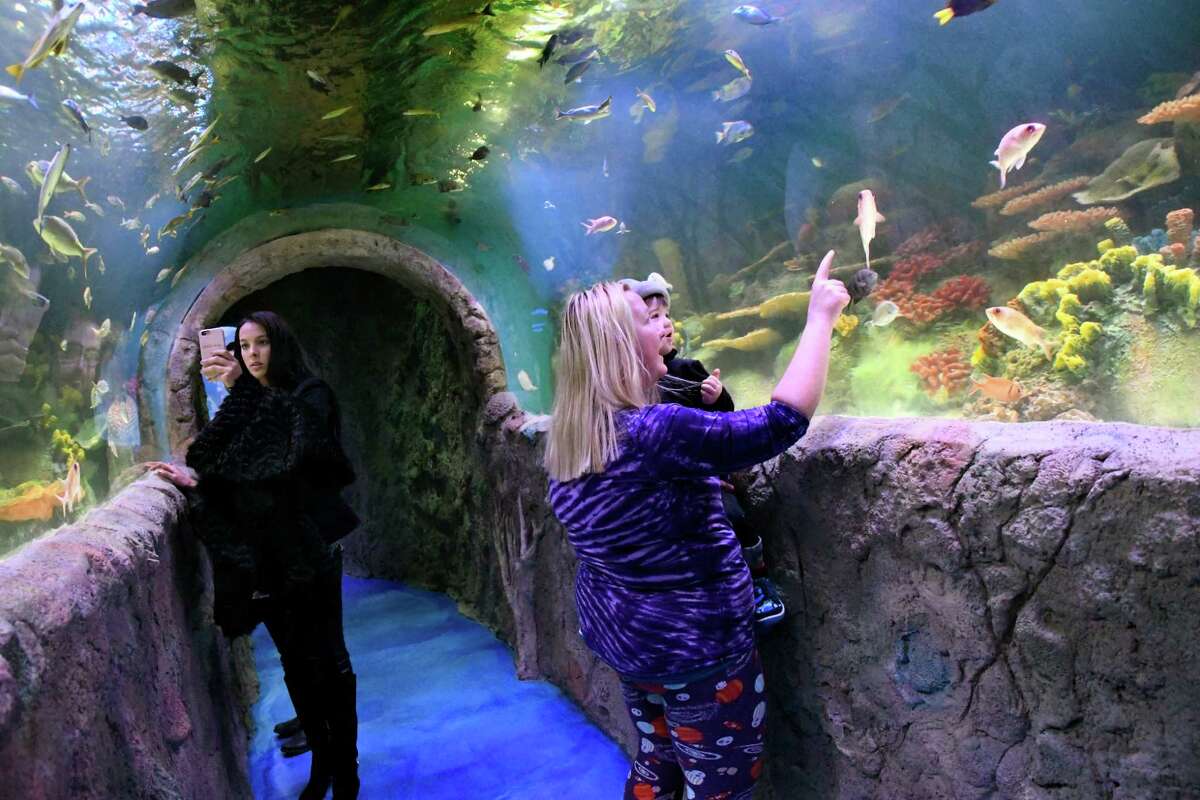 Aquarium at Via Port Rotterdam mall a slam dunk