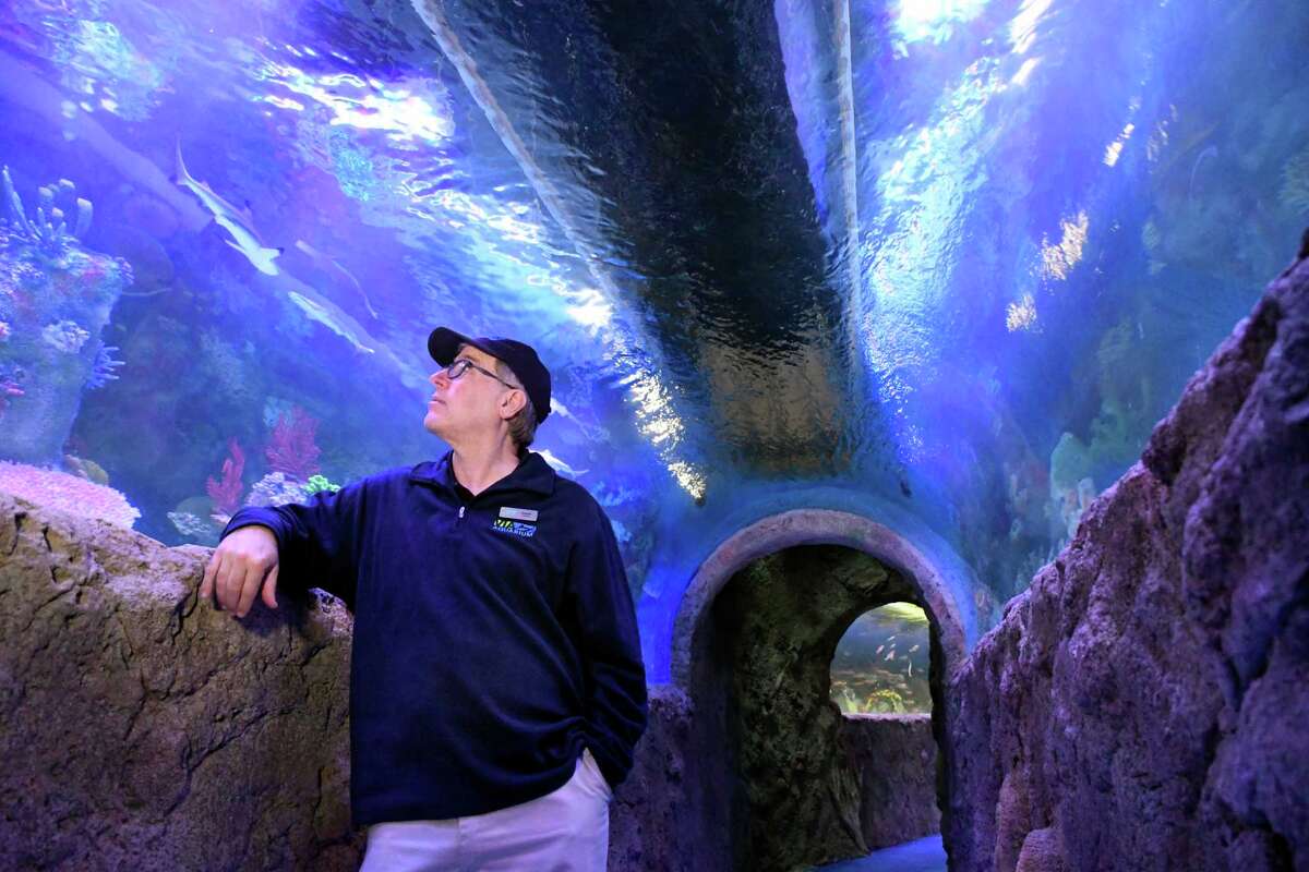 Aquarium at Via Port Rotterdam mall a slam dunk