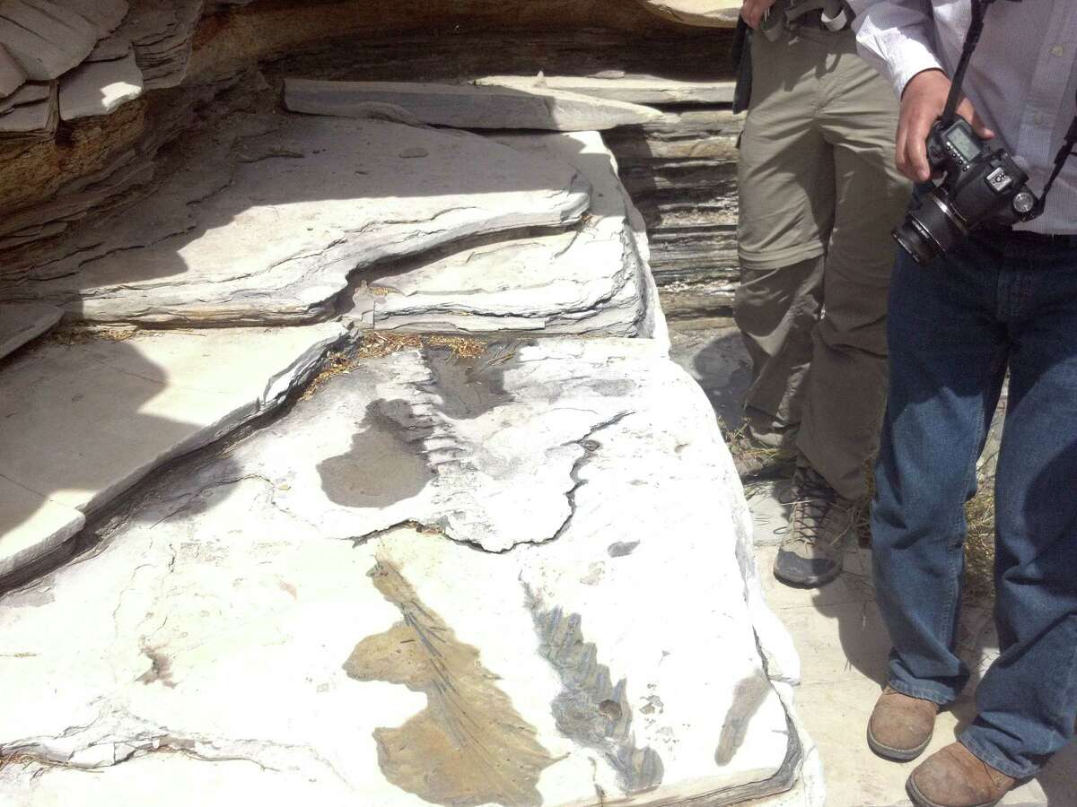 Hike in the Eagle Ford takes geologist back 92 million years