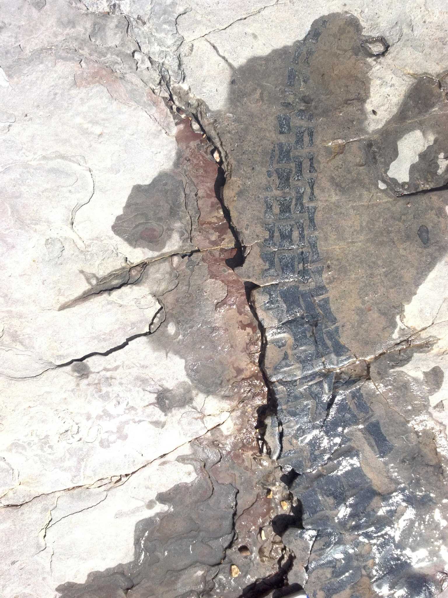 A hike in the Eagle Ford takes geologist back 92 million years