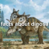 Largest-ever 'sea dragon' fossil sat undiscovered in museum for 20 ...