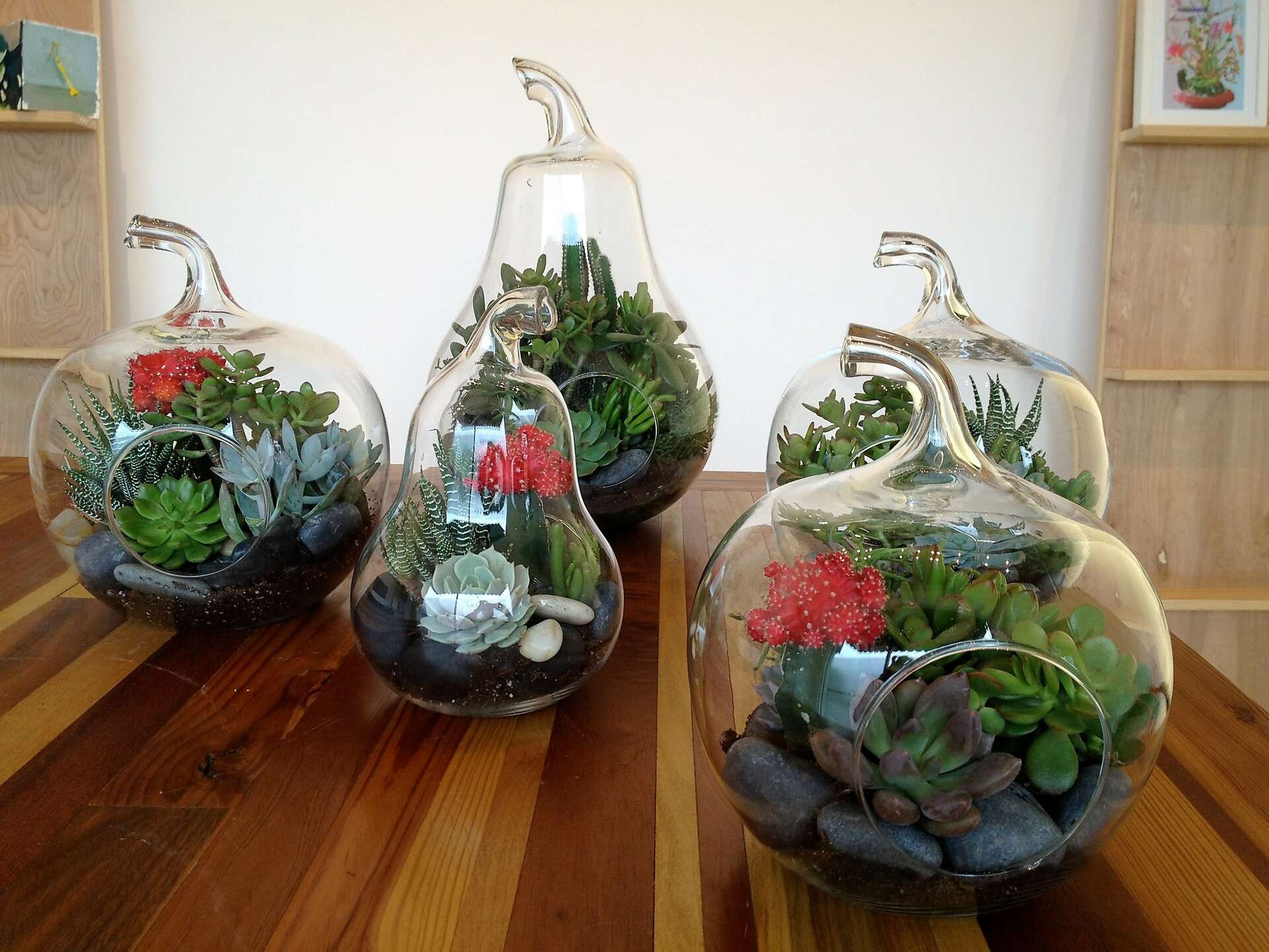 A DIY dry terrarium