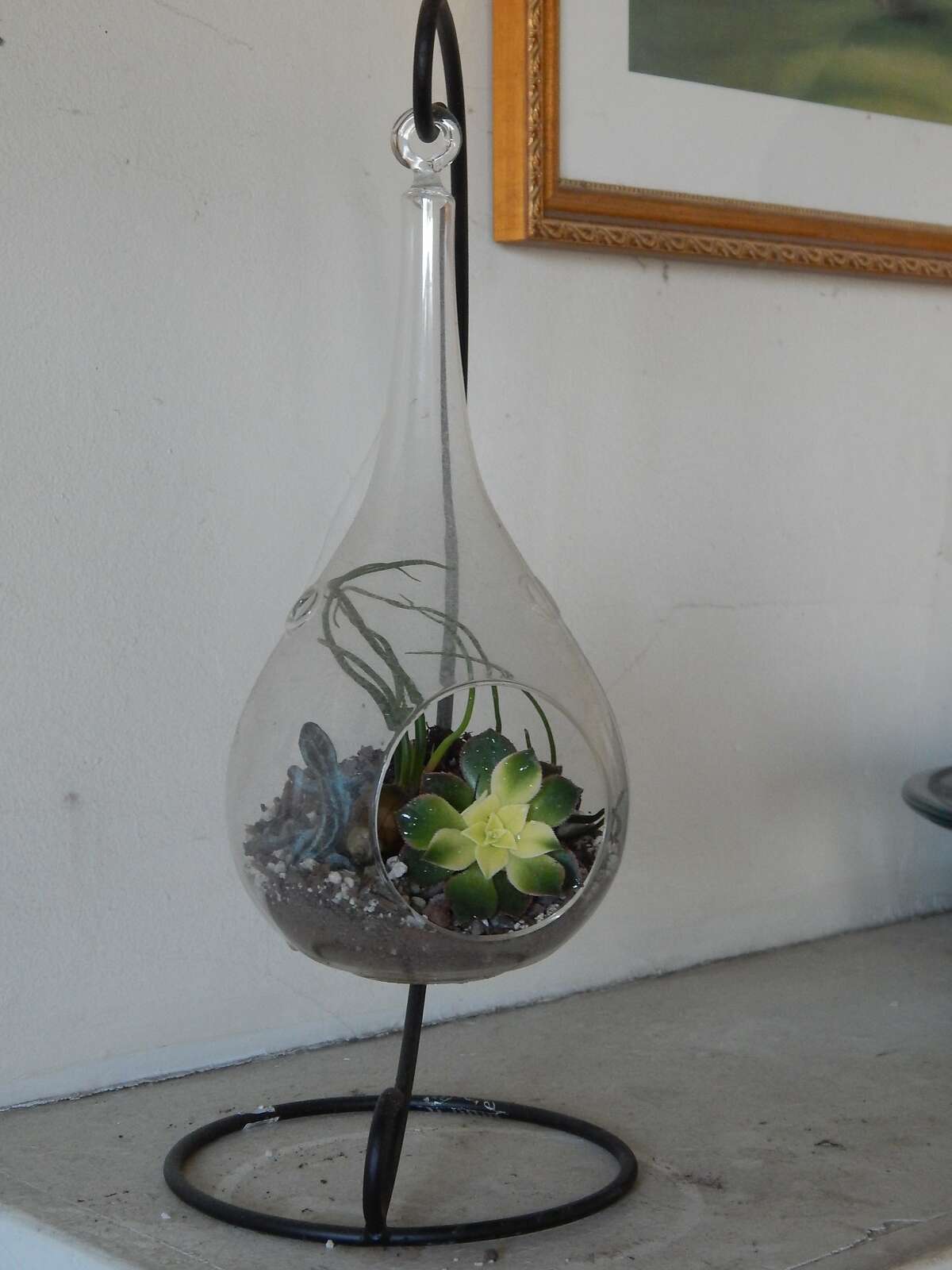 A DIY dry terrarium