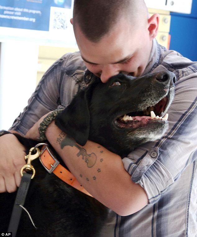 Photo gallery: San Antonio’s military dogs