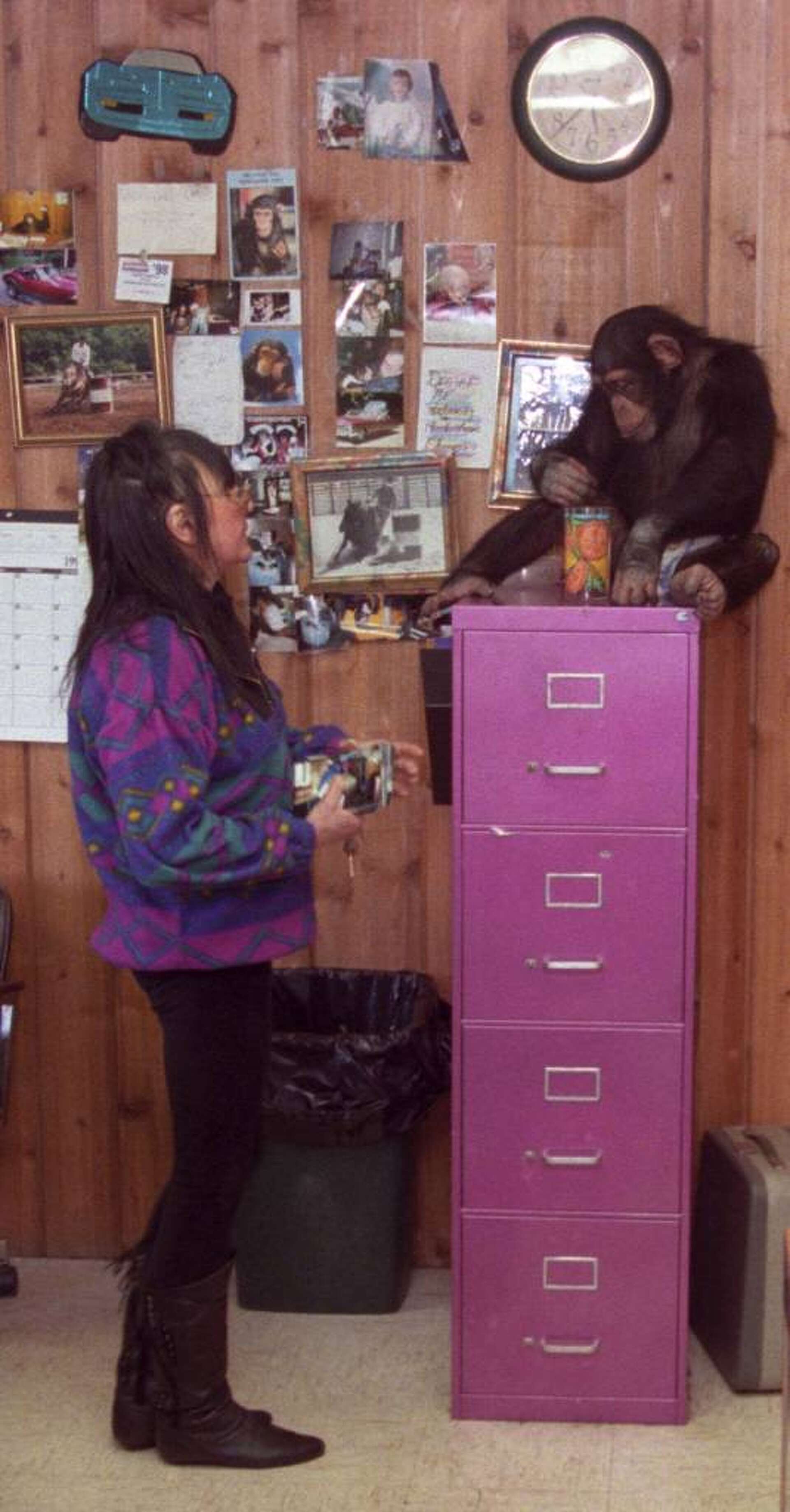 Owner of chimpanzee that mauled Stamford woman, dies