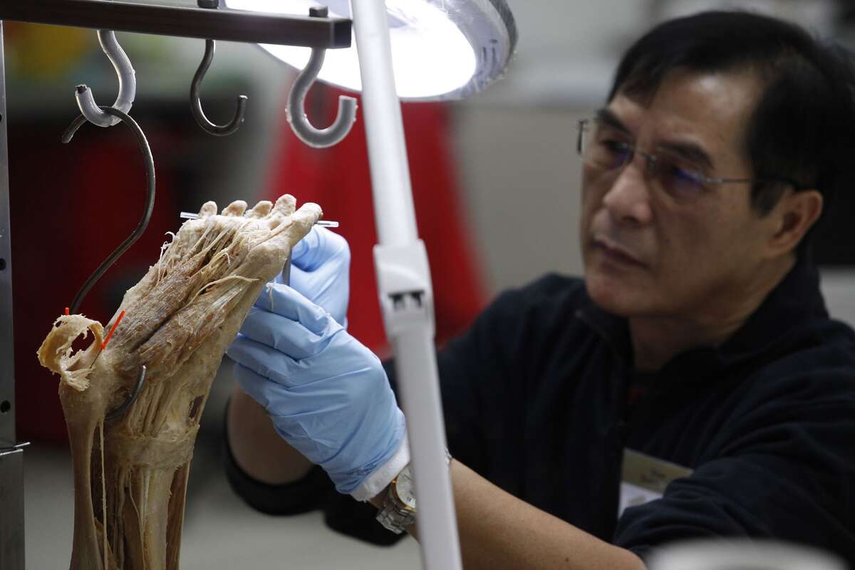 Eye-popping Body Worlds RX exhibit coming to Houston for four-month run