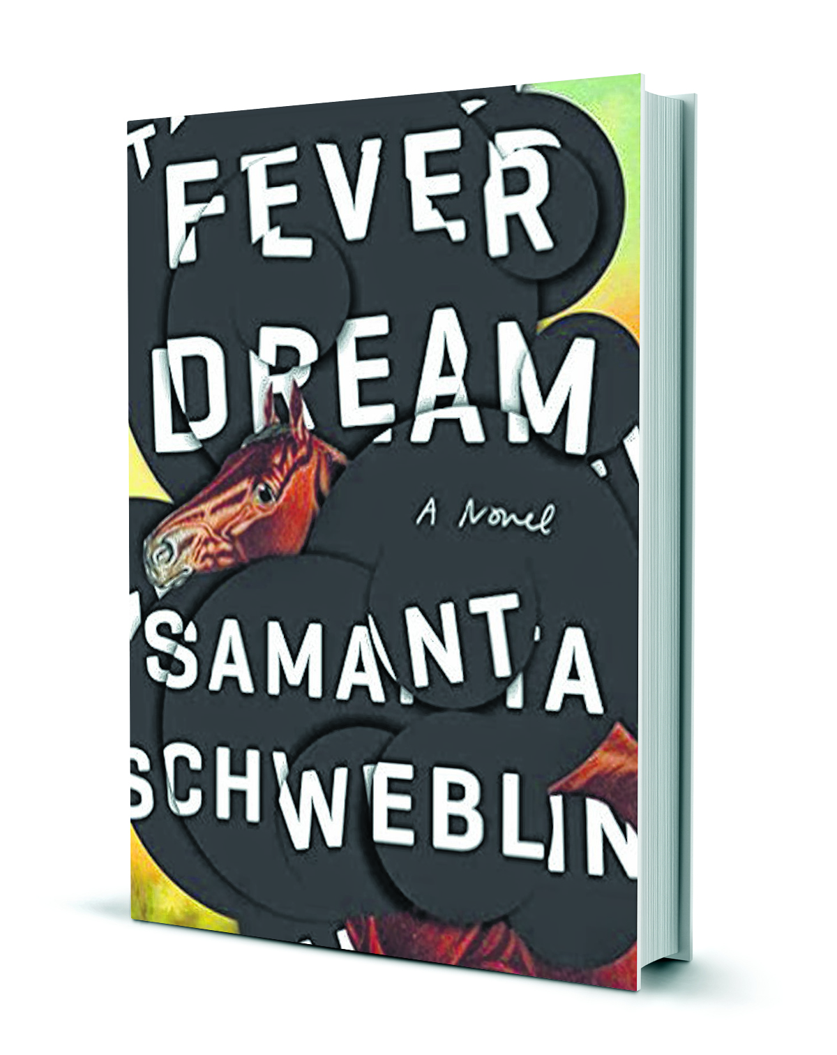 'Fever Dream' is both thriller and beautifully tangled allegory