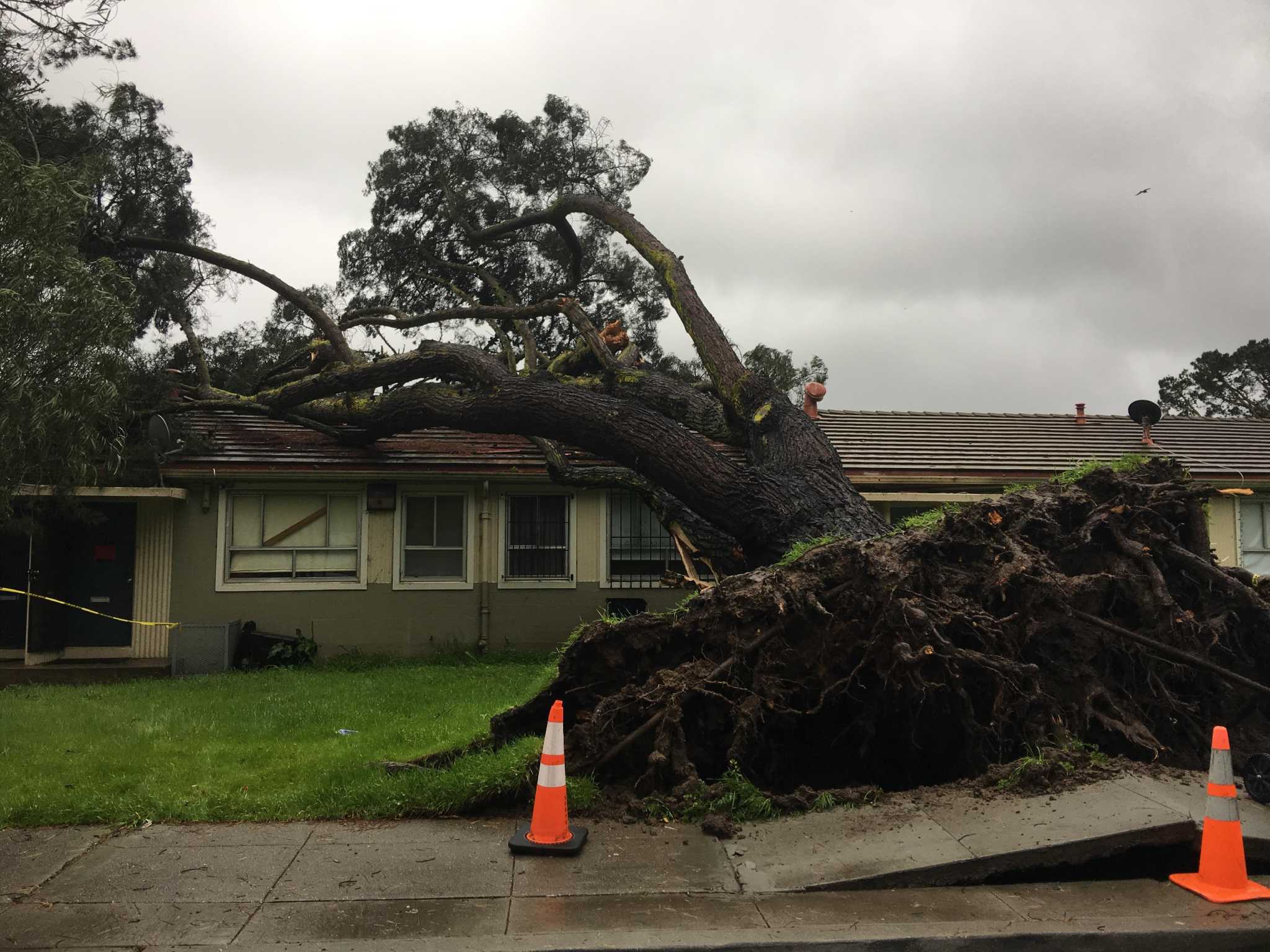 Rising rivers, crashes, downed trees as major storm slams Bay Area