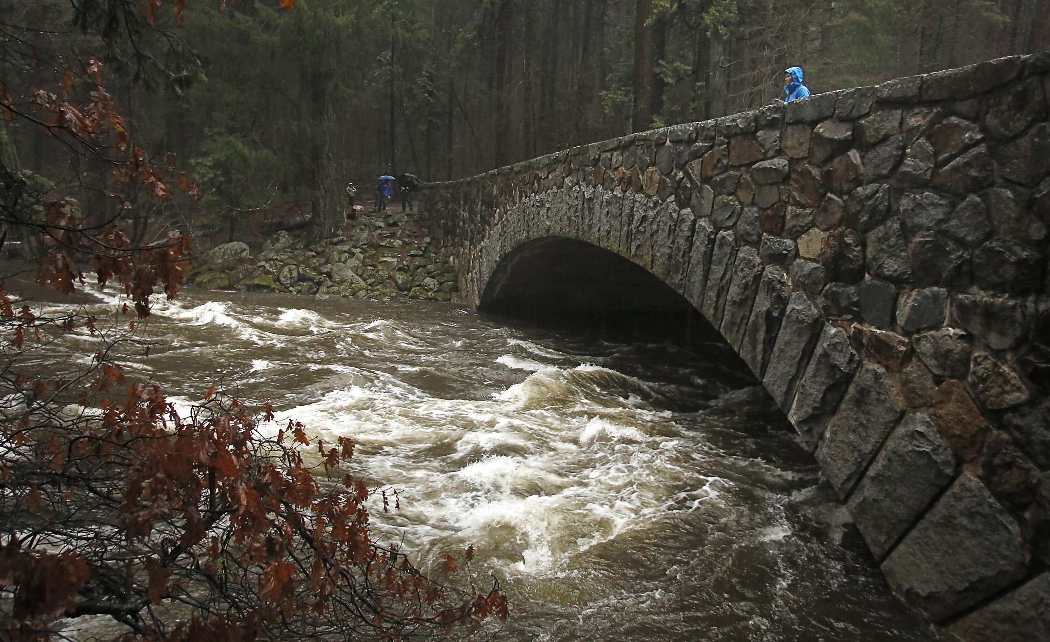 Spate of storms turns creeks into a spectator sport
