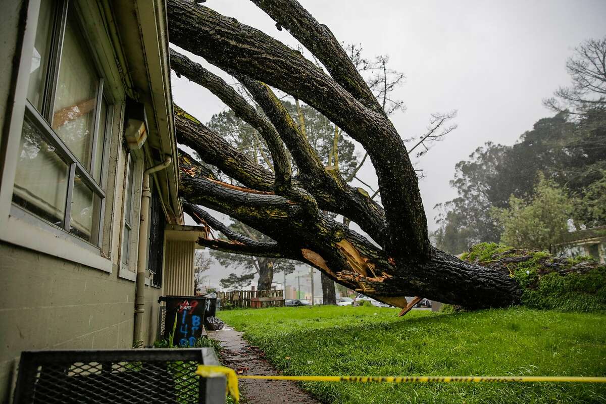 Rising rivers, crashes, downed trees as major storm slams Bay Area