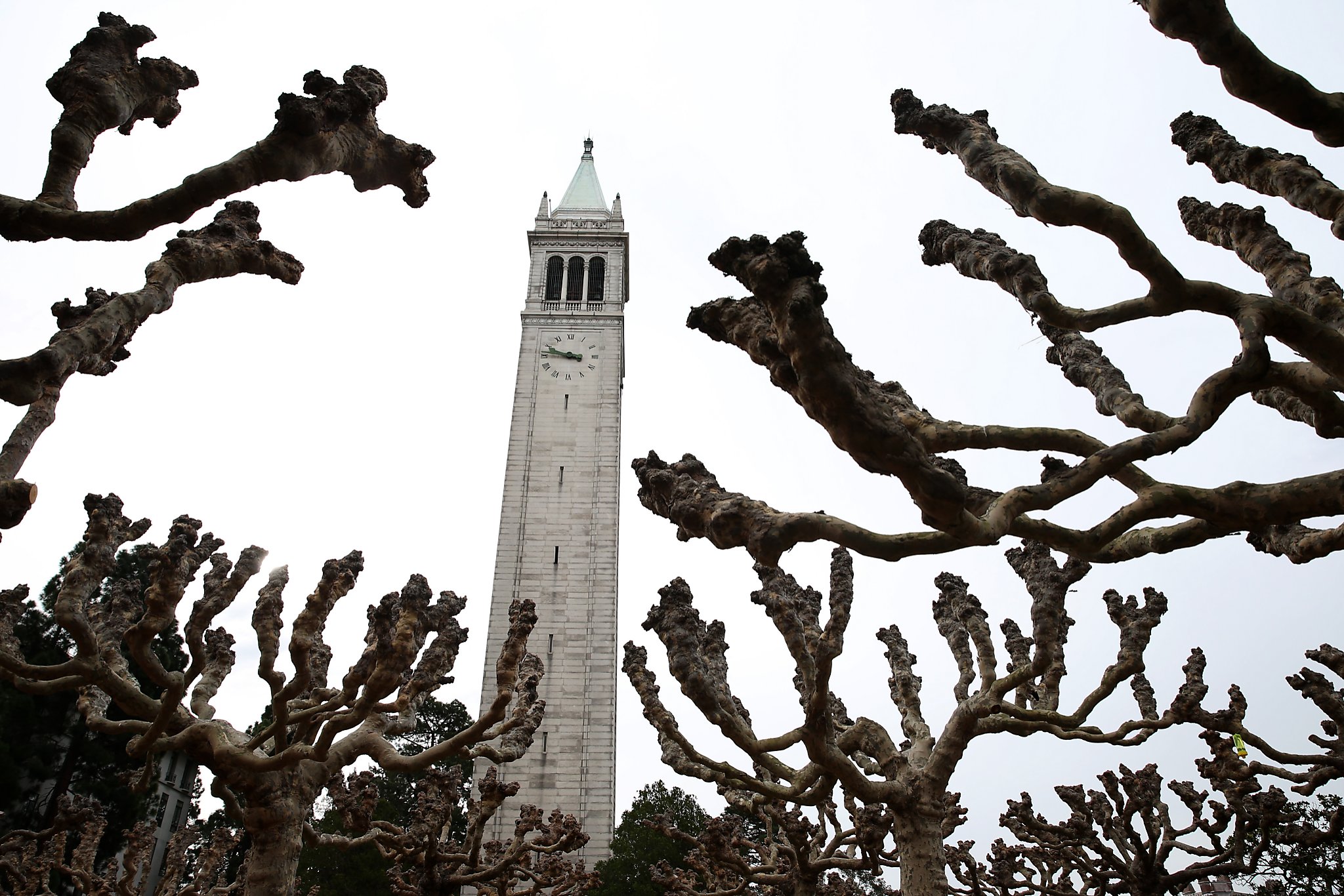 UC Berkeley tops Forbes list of best value colleges
