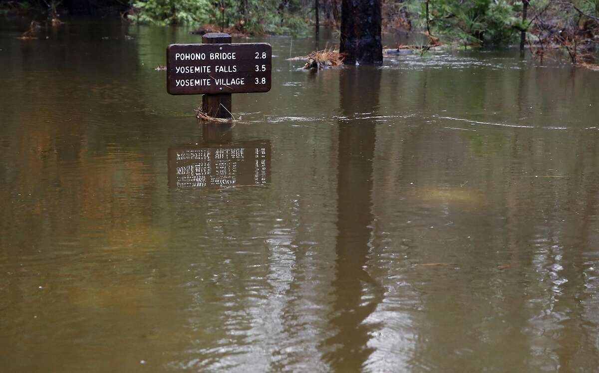This is where you can still see drive-through and walk-through trees in ...