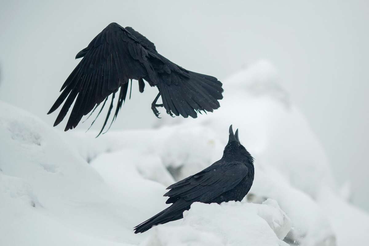 Rising rivers, crashes, downed trees as major storm slams Bay Area