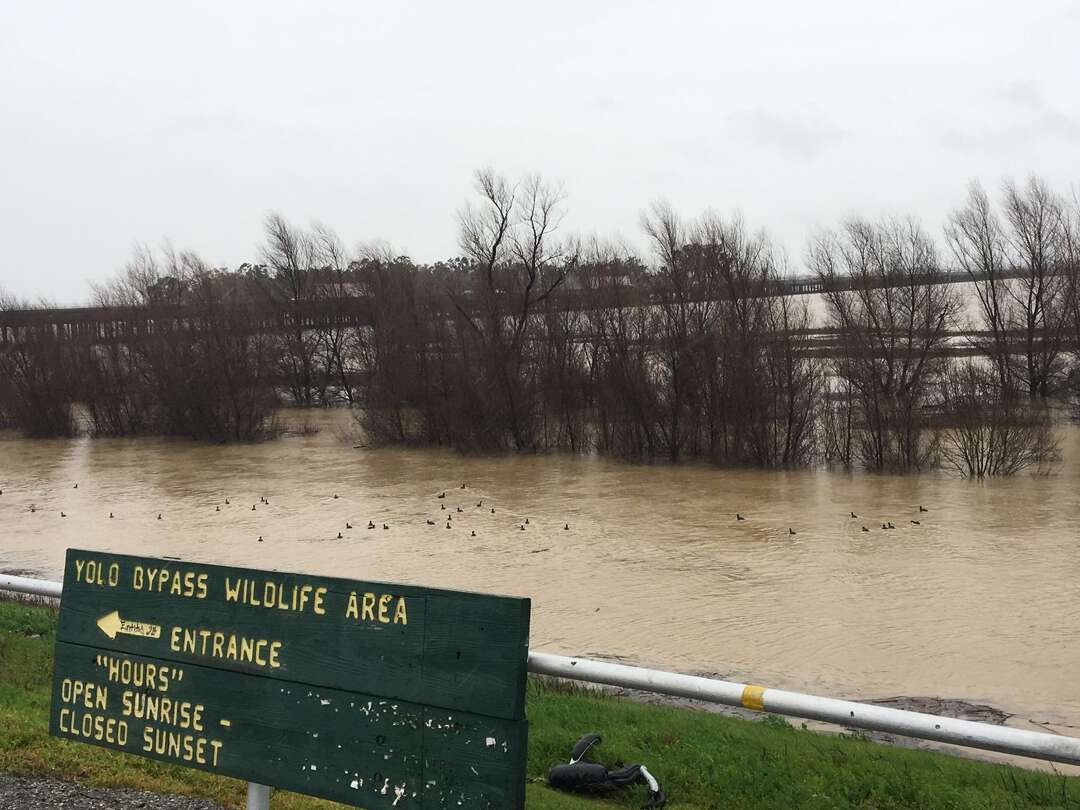 Flooded Yolo Bypass looks like an ocean for the first time in a decade